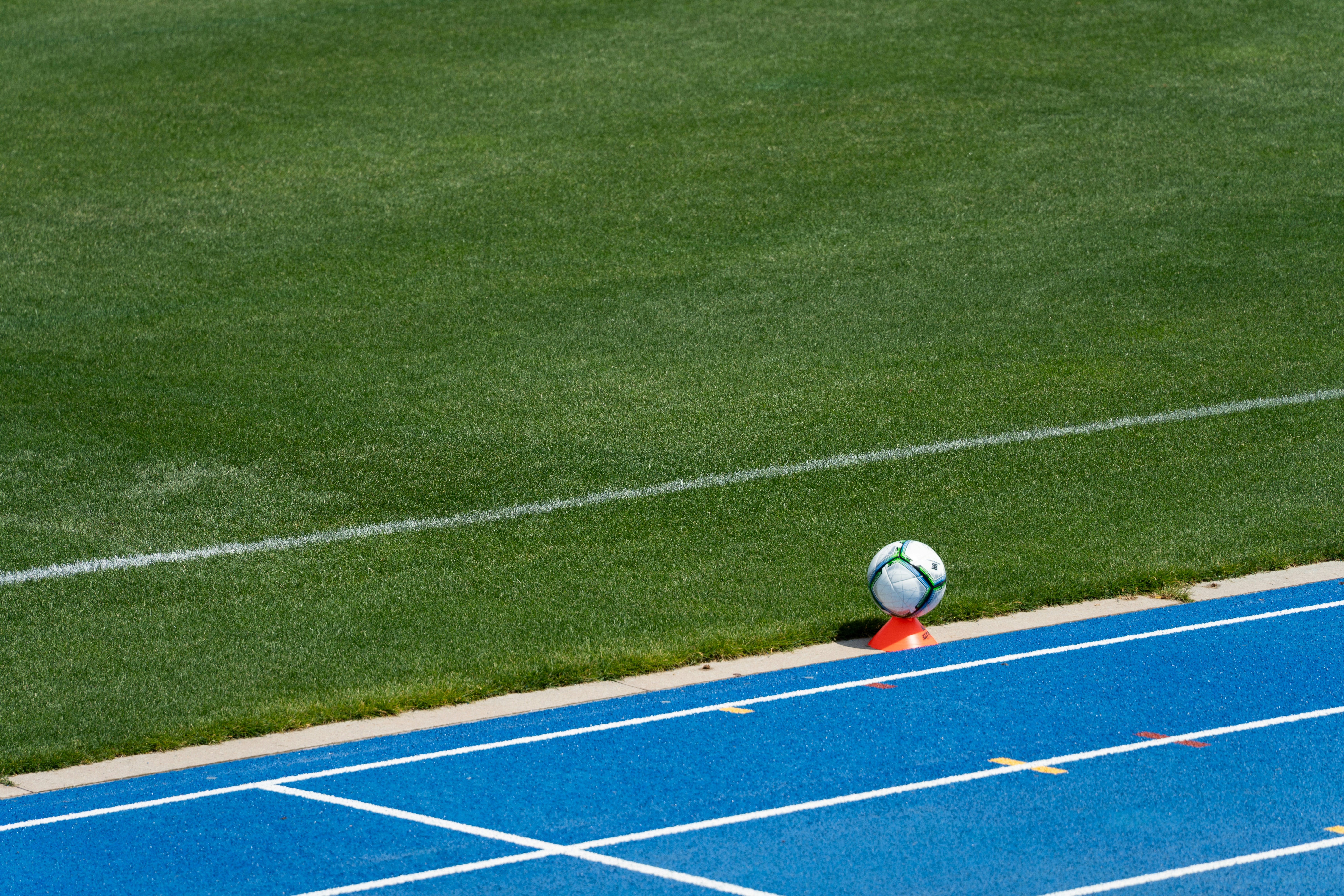 Ball on the Track: A Quiet Boundary Between Turf and Court