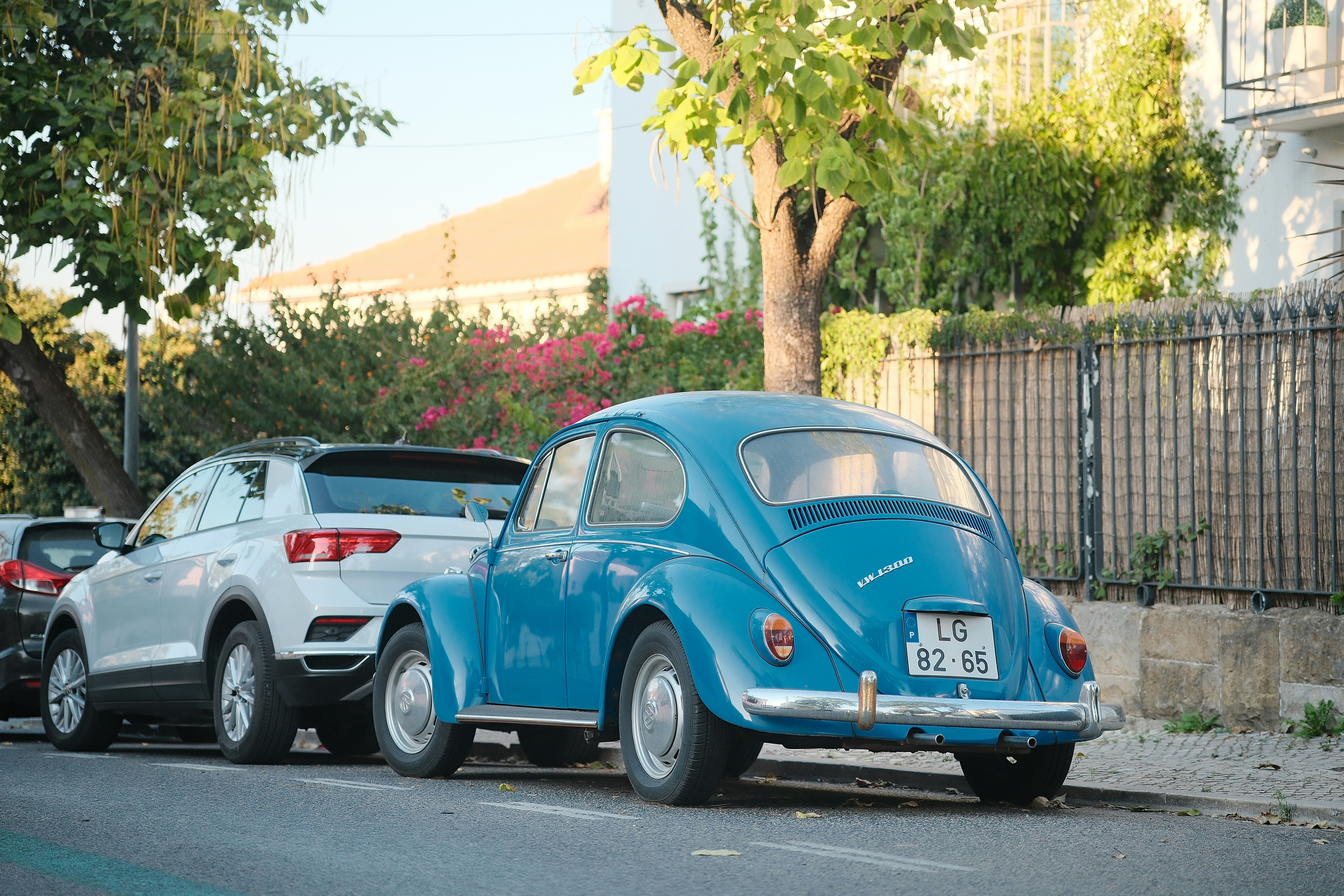 Blue Beetle on the Quiet Street
