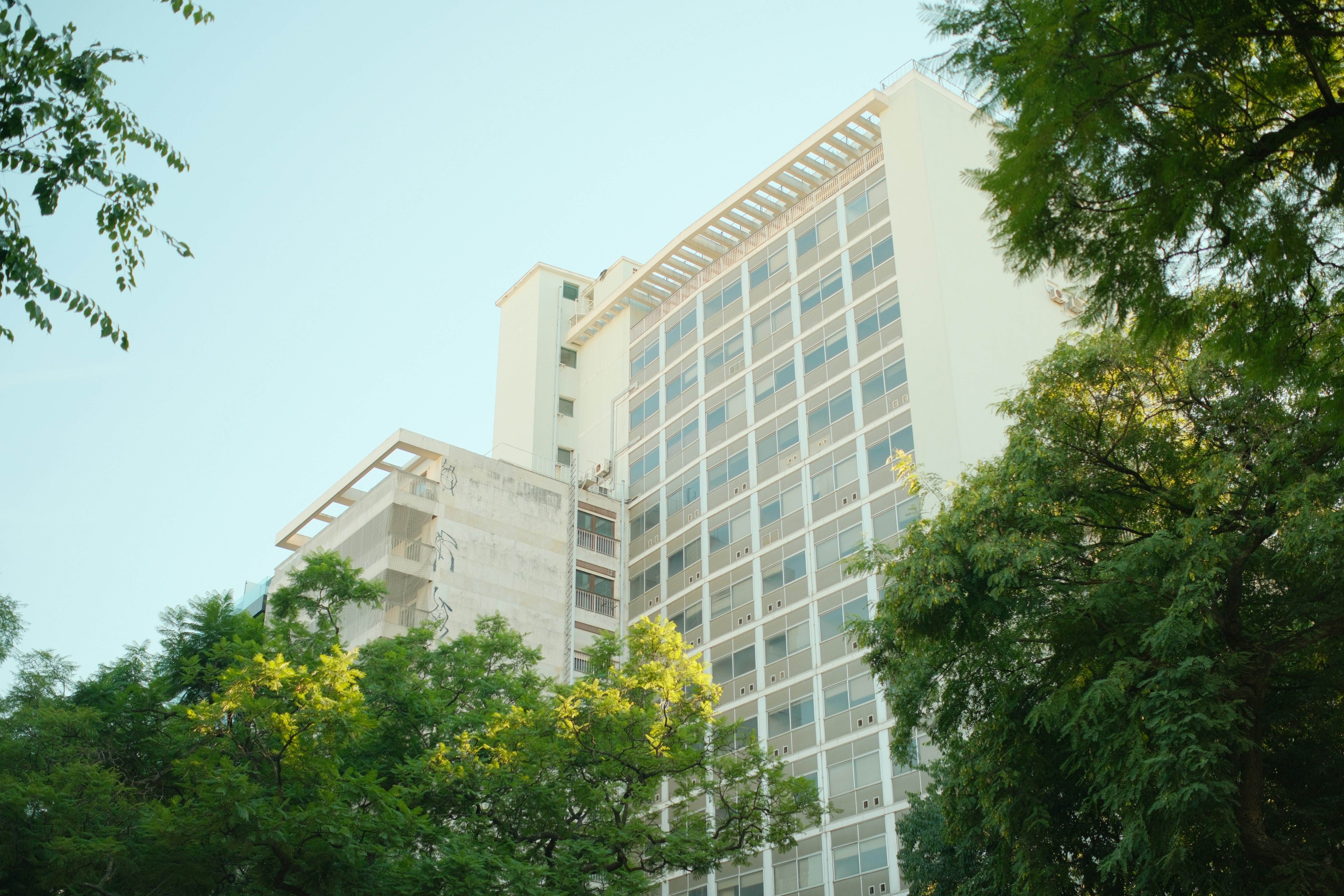 Sunlit Highrise among Verdant Canopy
