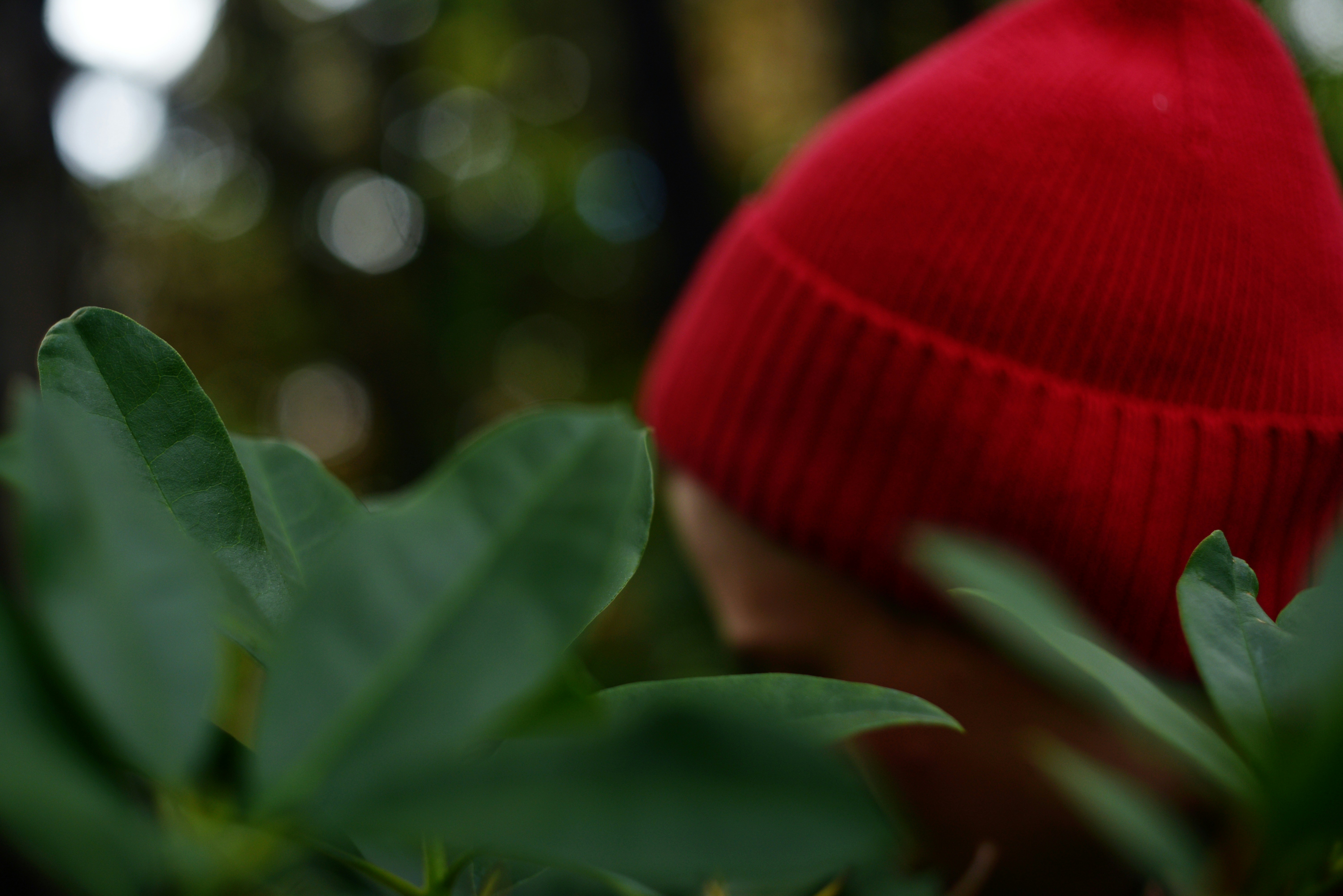 Red Knit in the Plants: A Quiet Frame with Hidden Face