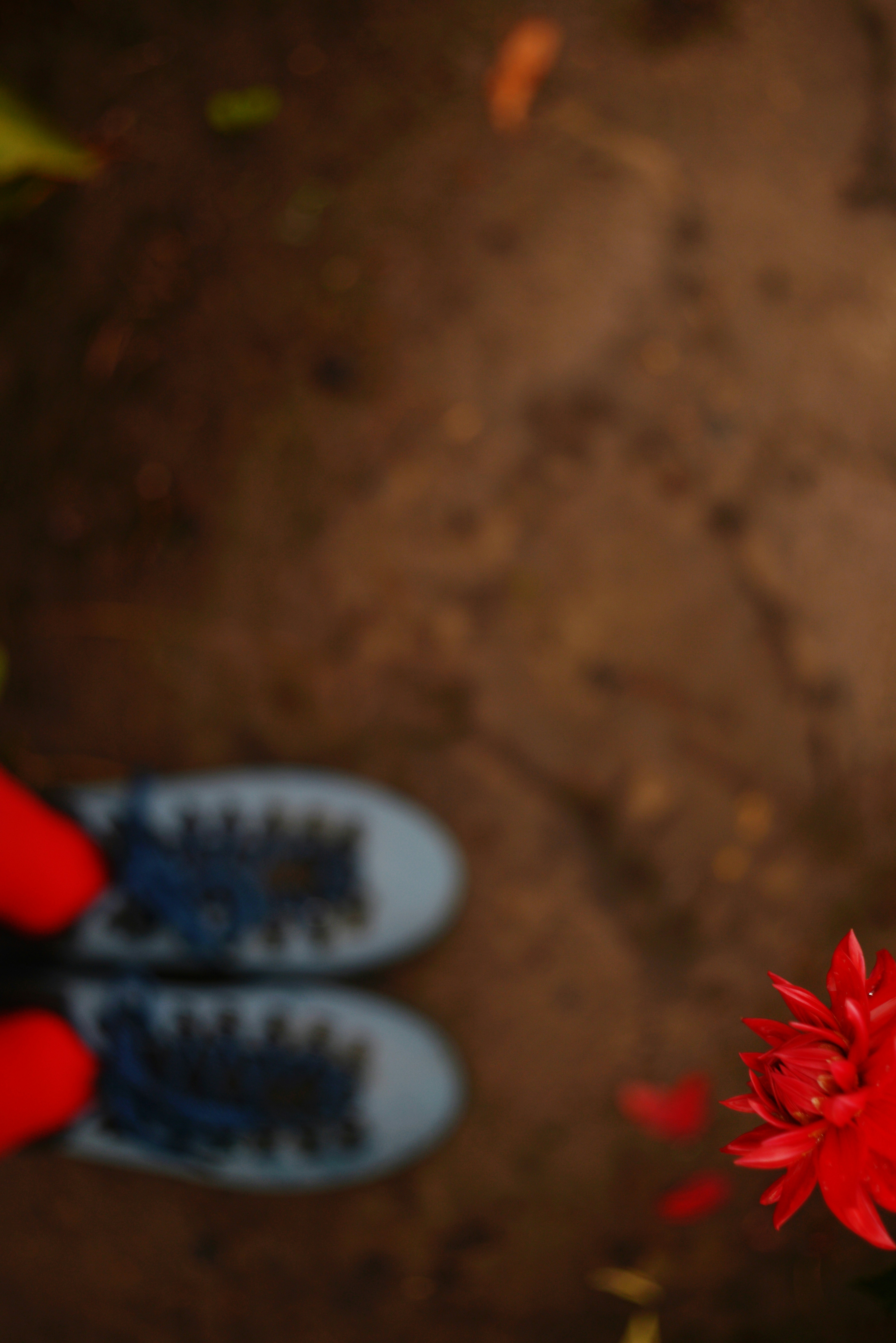 Ground Level Runway: Shoes and a Red Bloom Enter the Frame