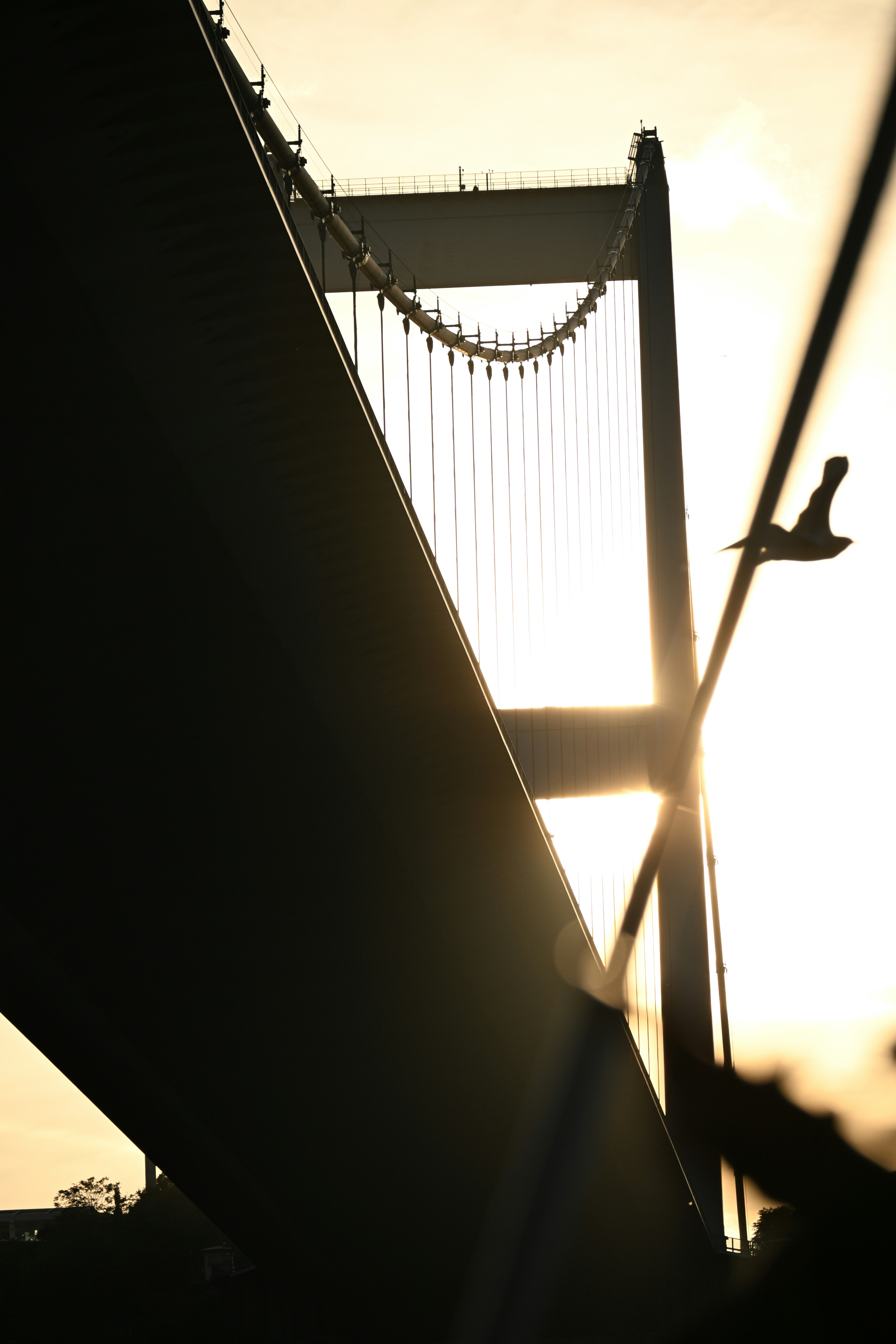 Sunlit Suspension: A Bridge Facade Framed by Silhouettes