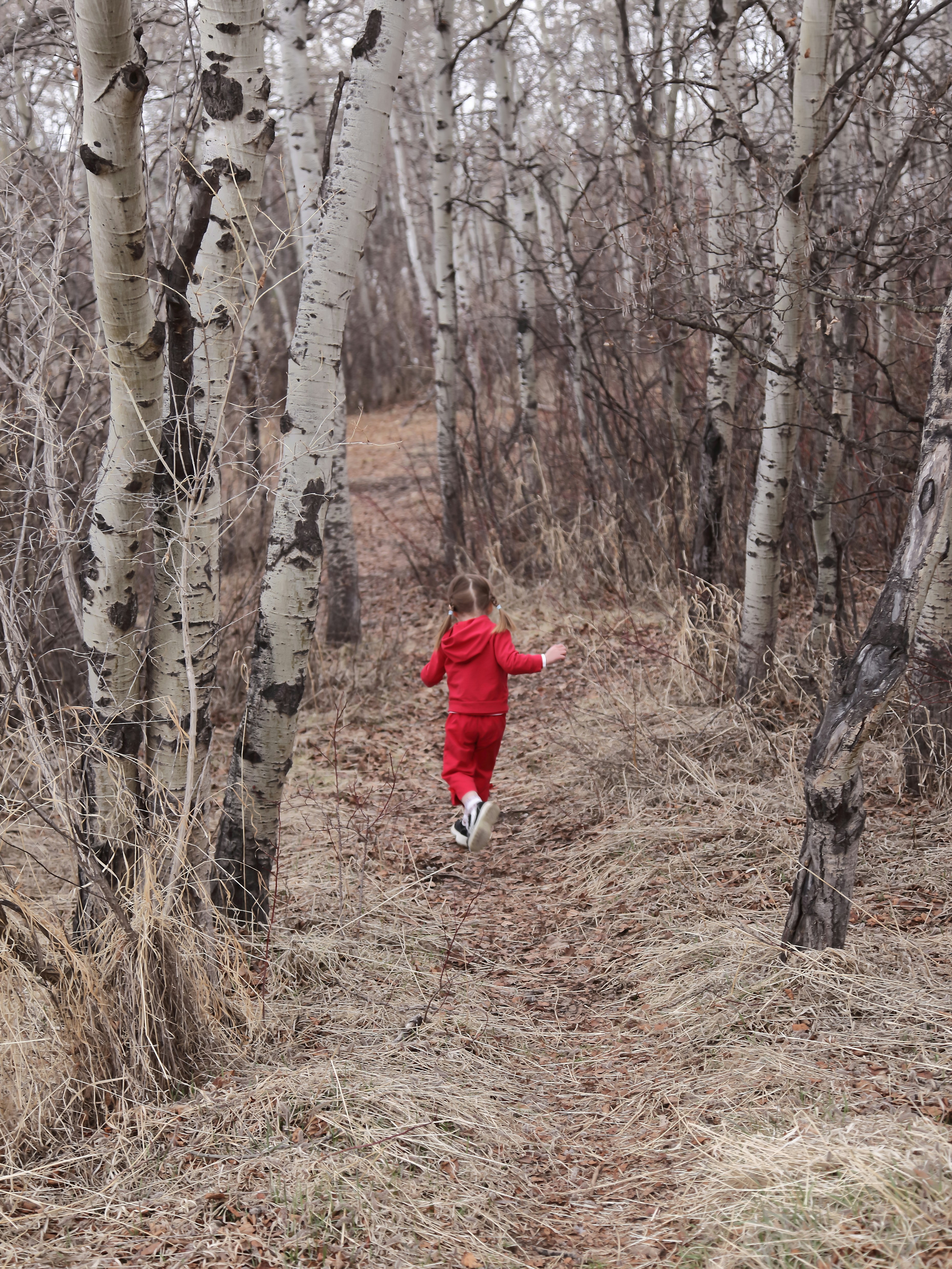 Red-clad child weaving through a birch woodland path