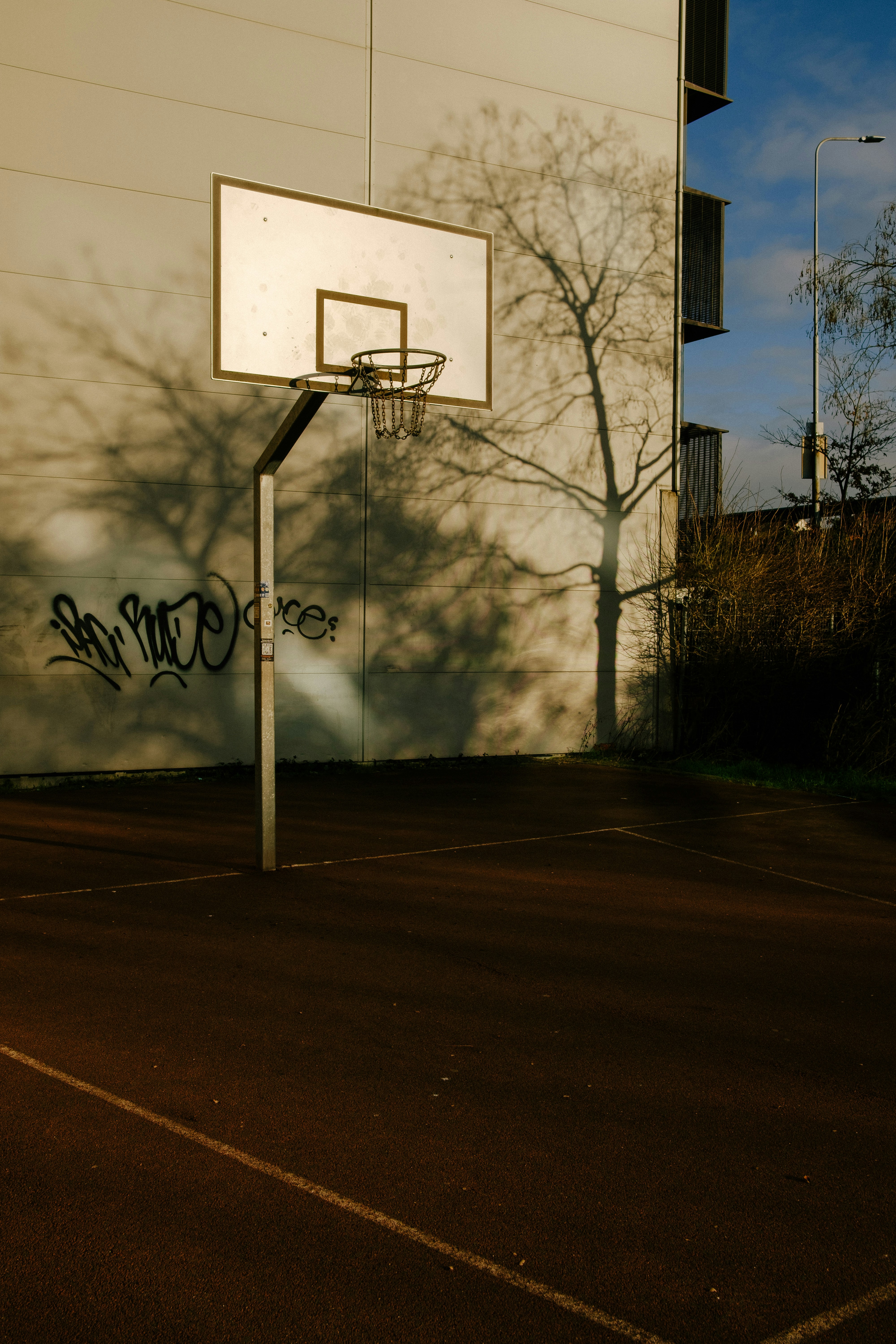 Shadowed Hoop on a Quiet Court