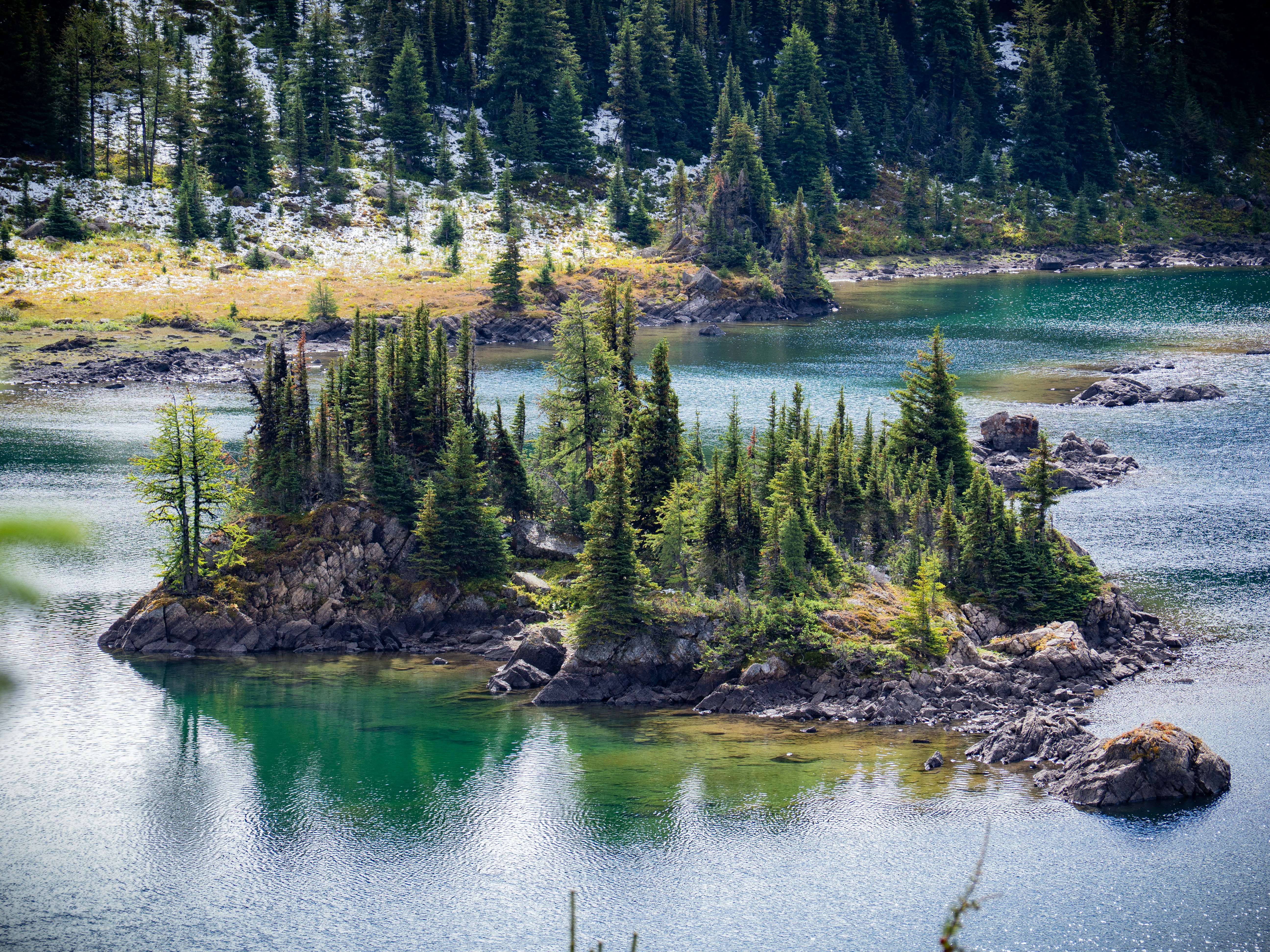 Verdant islet reflections: pine-topped rocks in turquoise alpine water