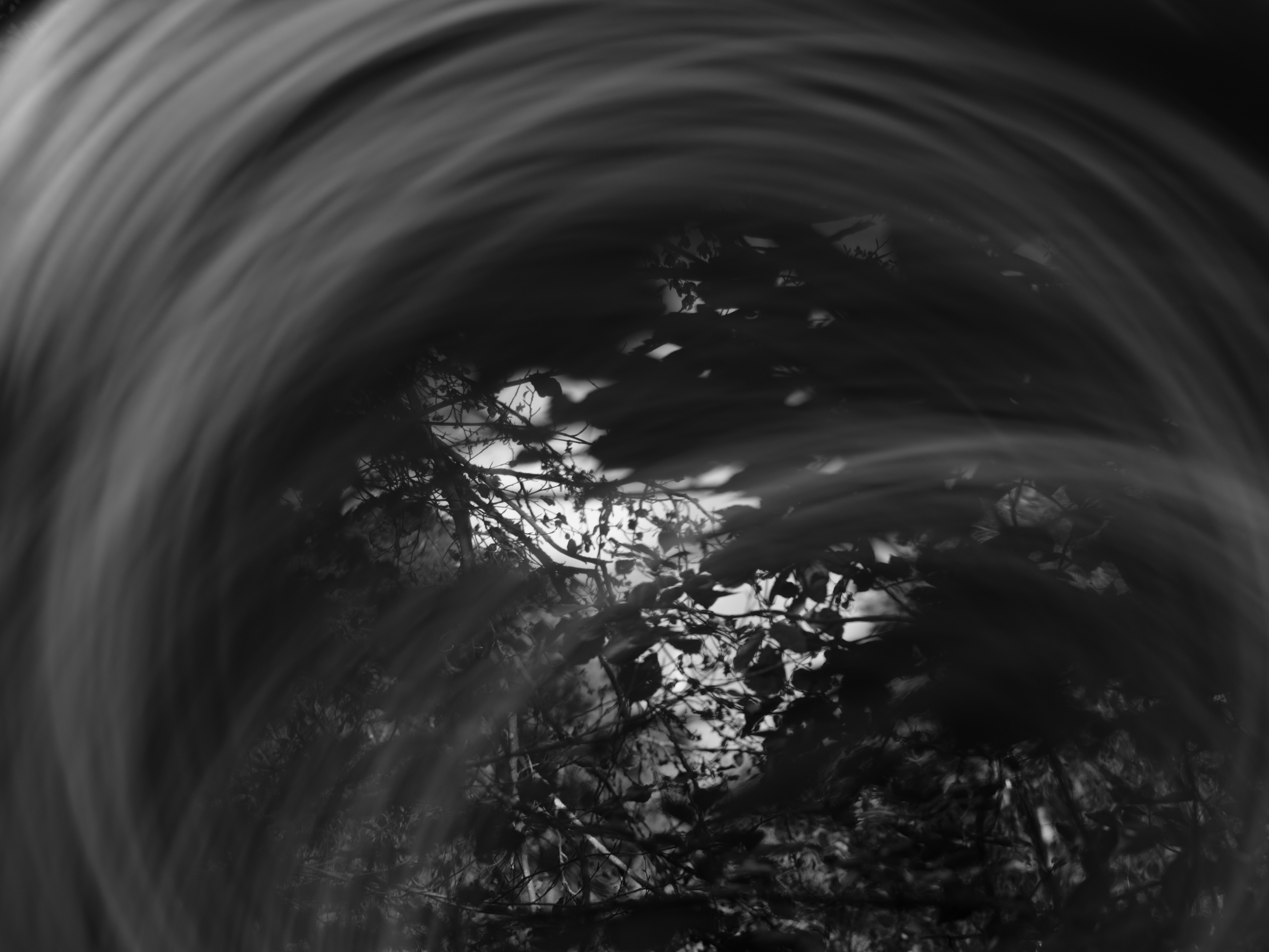 Eyes in the Vortex: A Central Moment of Quiet Detail