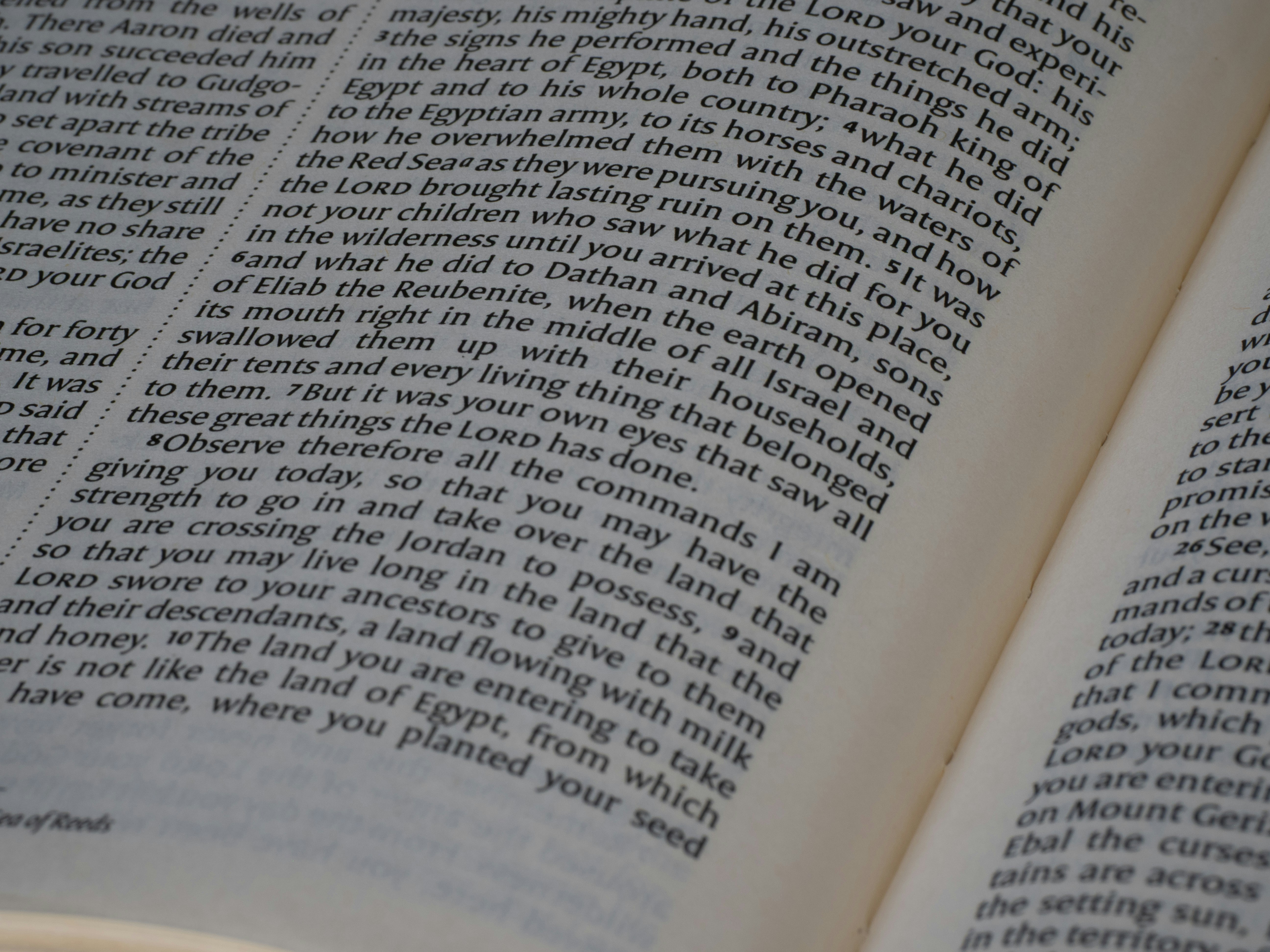 Close-Textured Pages: Micro-Talk Between Two Paragraphs