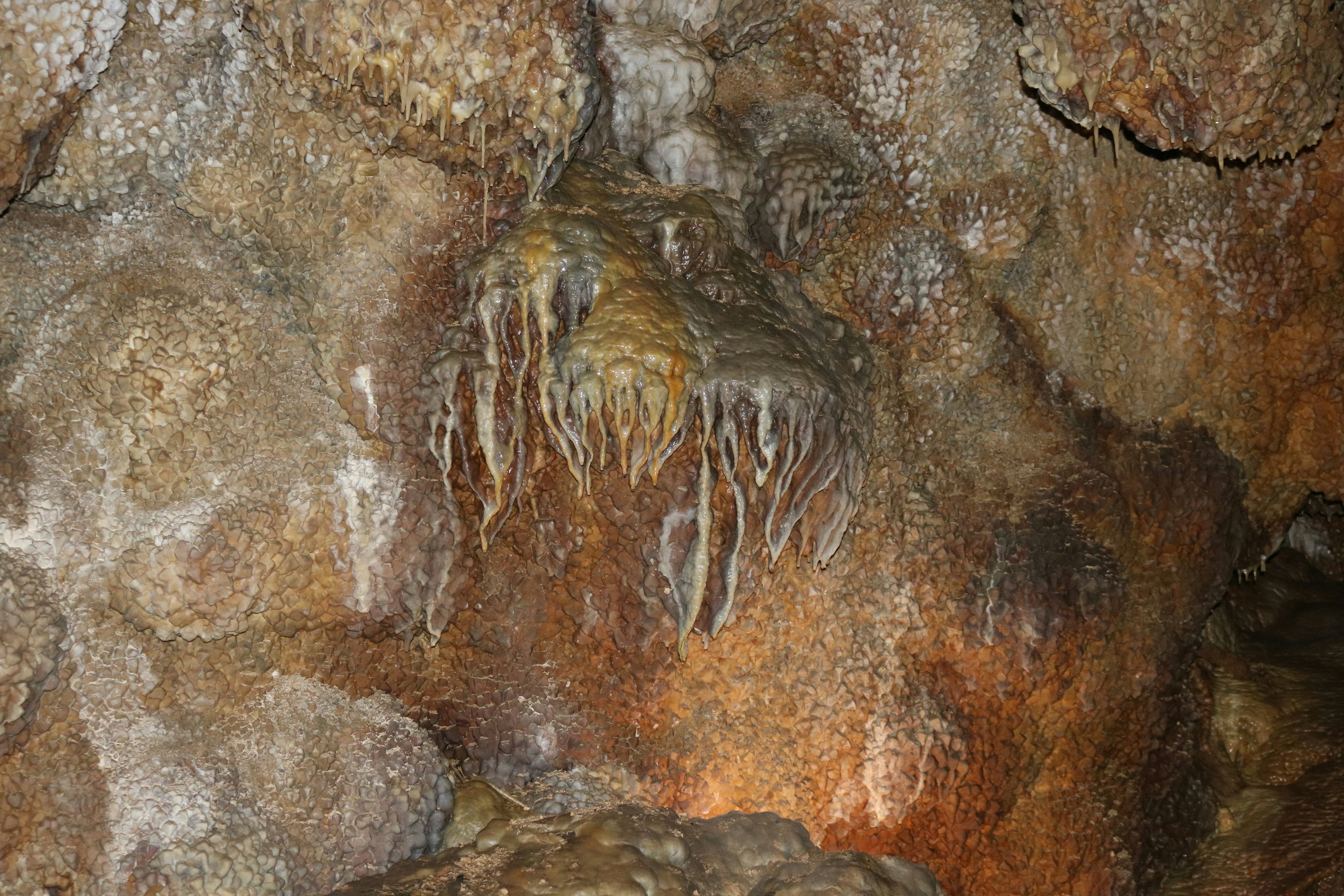 Stalactite Portrait: A Glimmering Cave Bank of Ice-White Drip Formations