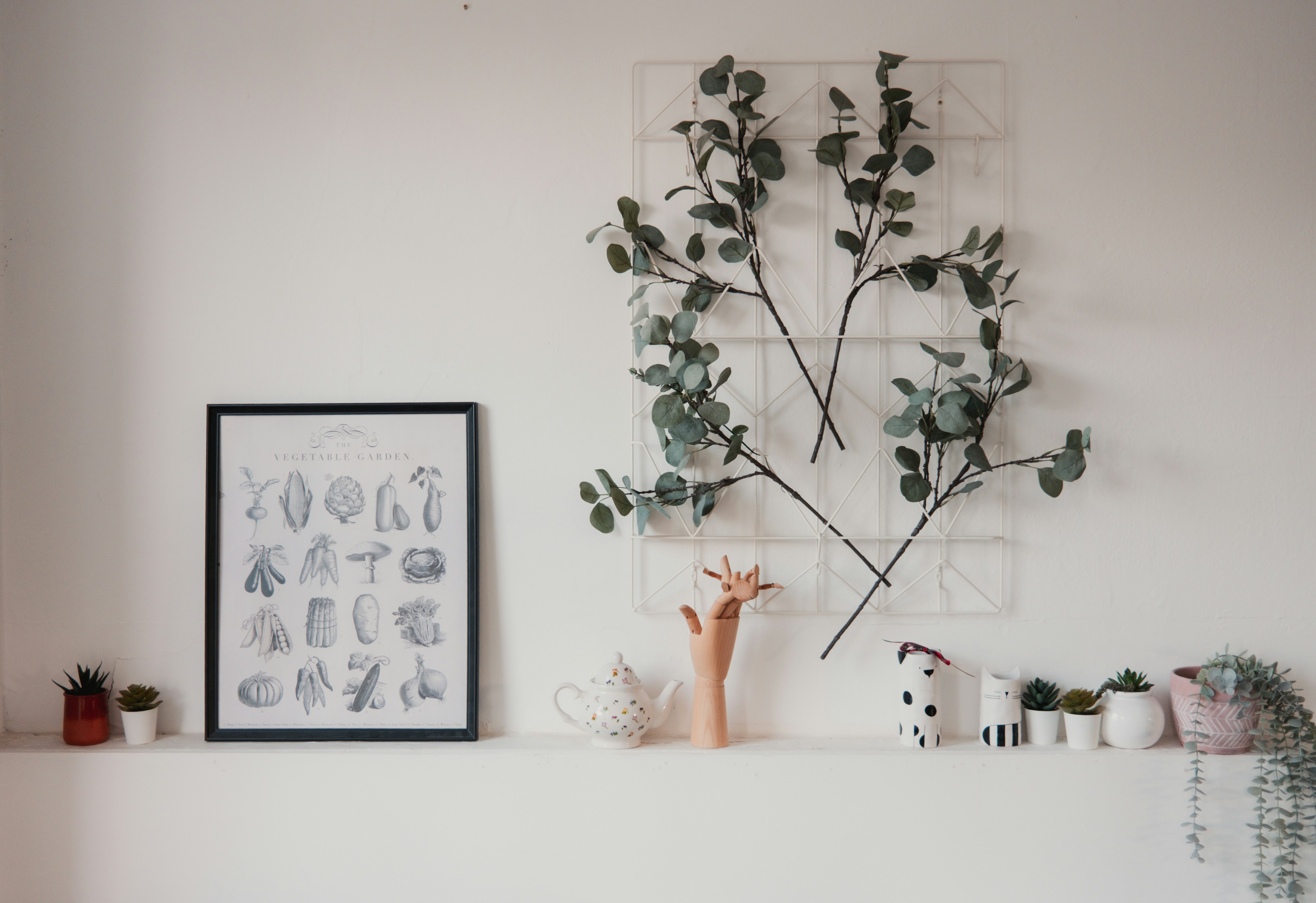 Minimalist indoor greenery framed by a wire trellis
