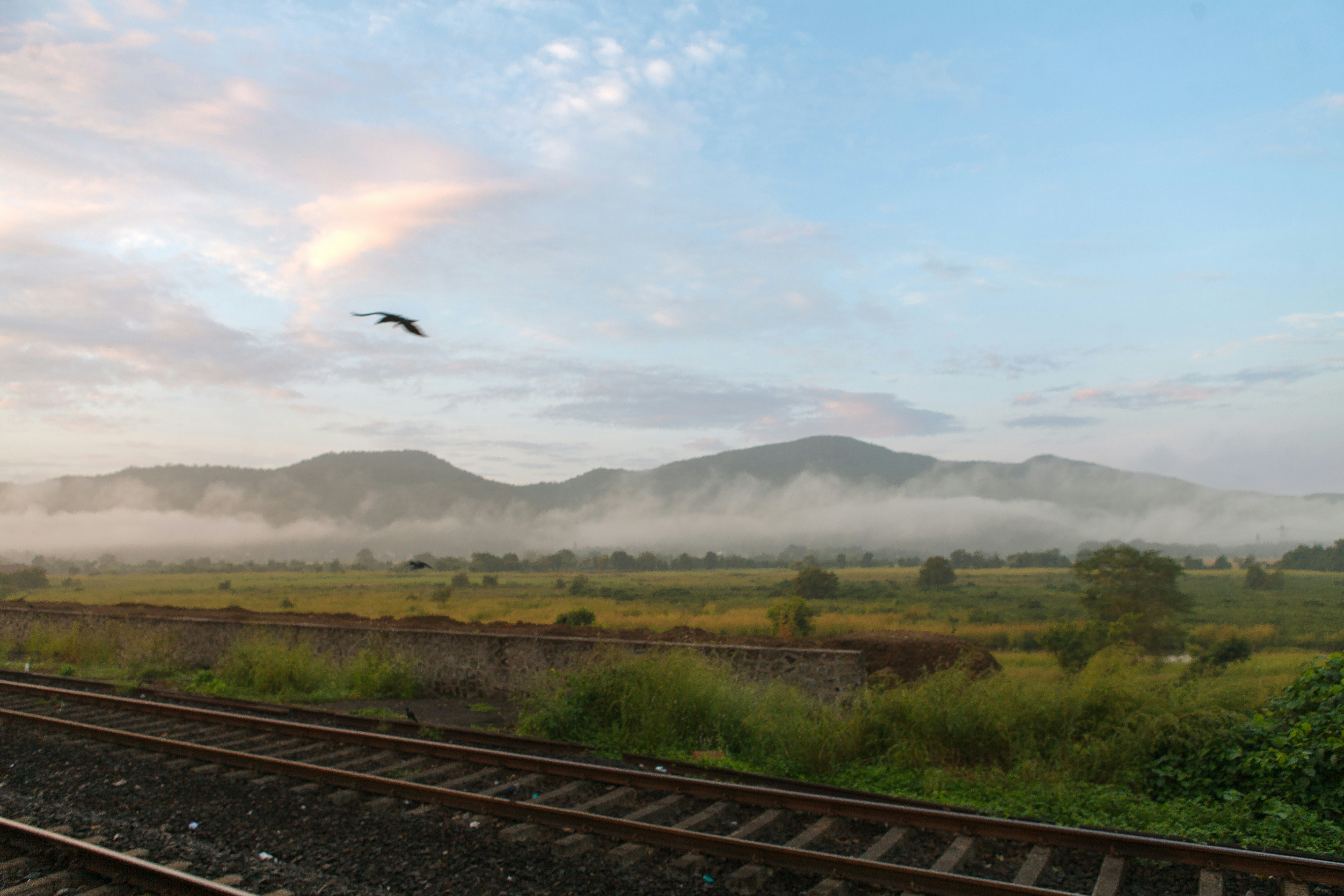 Mist on the Plain: Dawn over Rails and Ridge