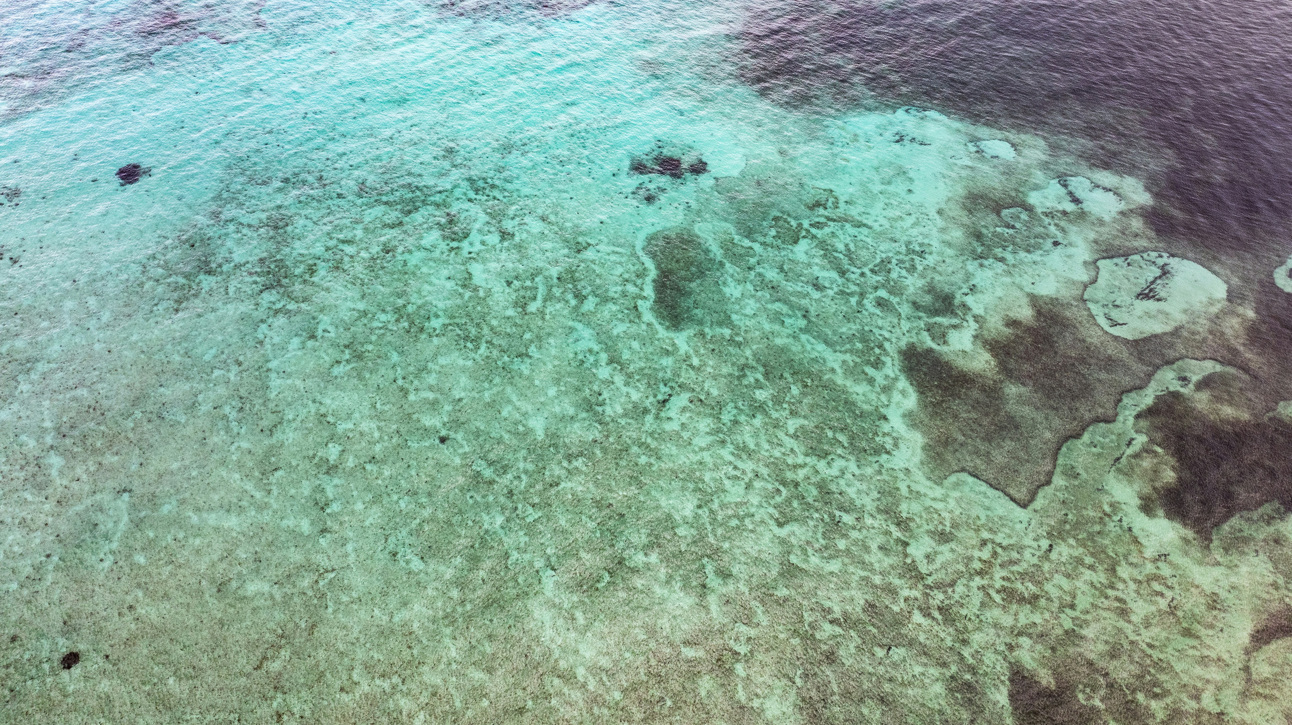 Aerial Turquoise Sanguine: Reef and Sea in Light