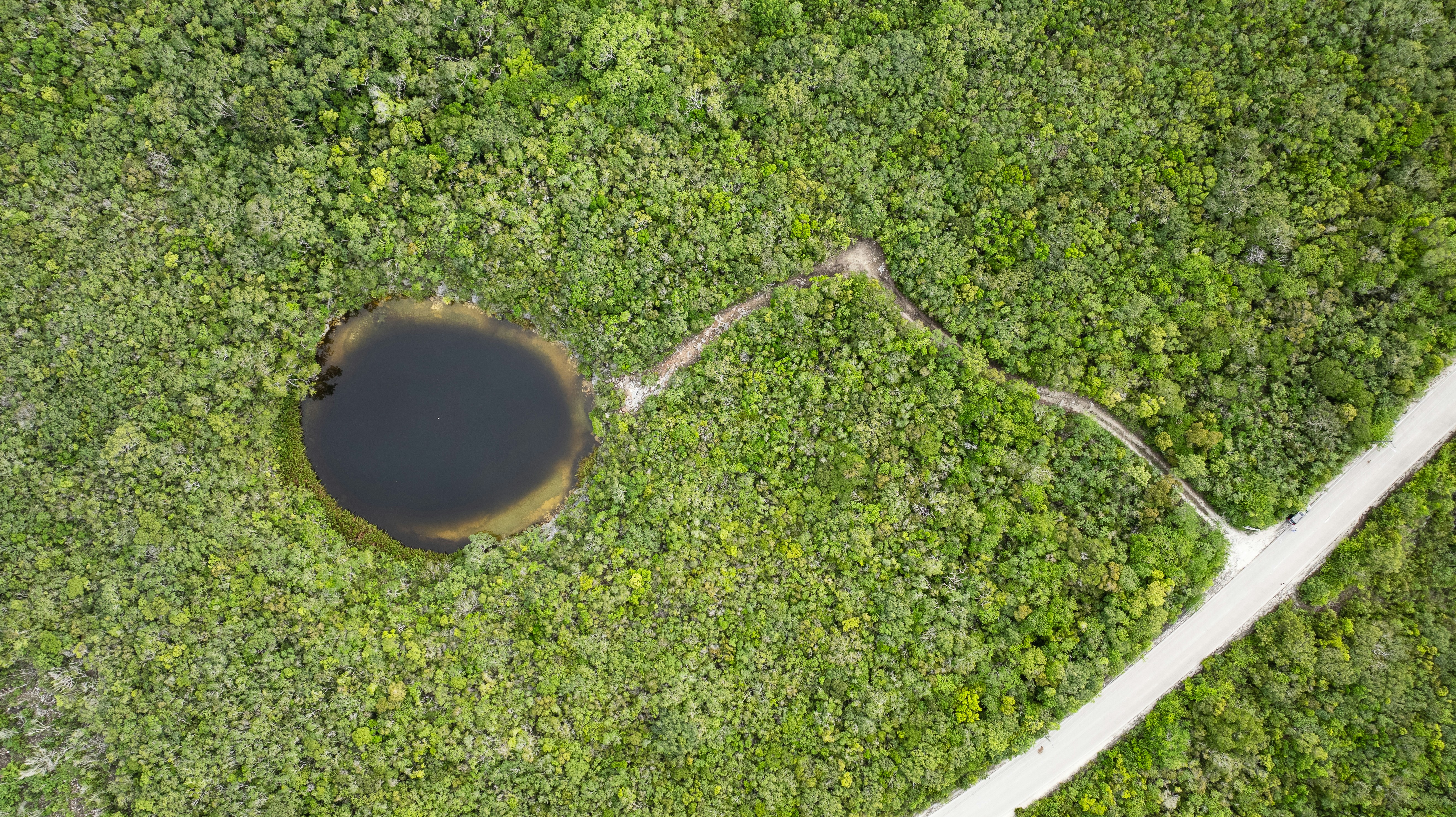 Circular Pool in a Sea of Green: Aerial View Over a Marshland