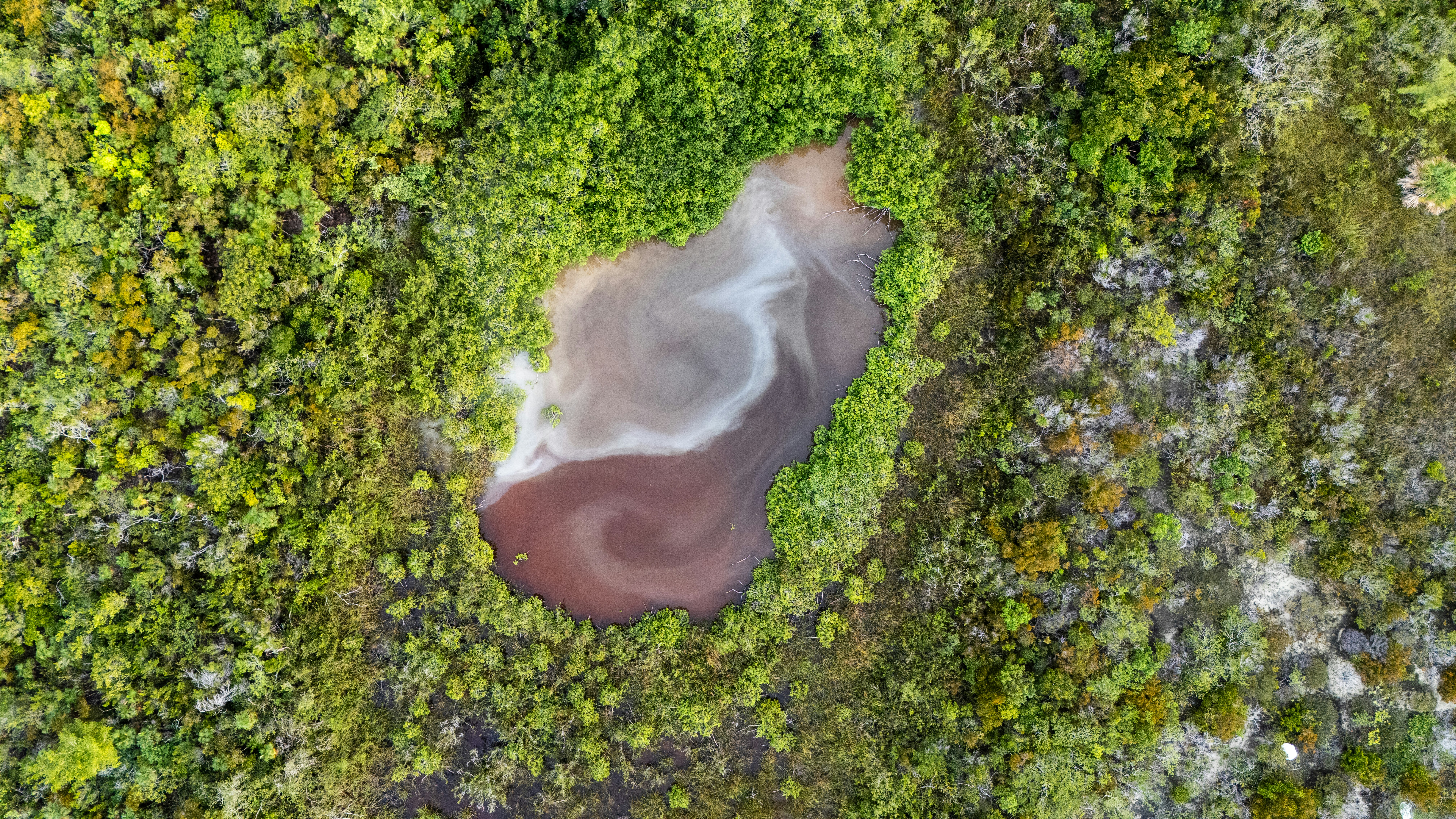 Emerald Ring Over Red Moraine: Aerial View of a Forest-Cilled Lagoon