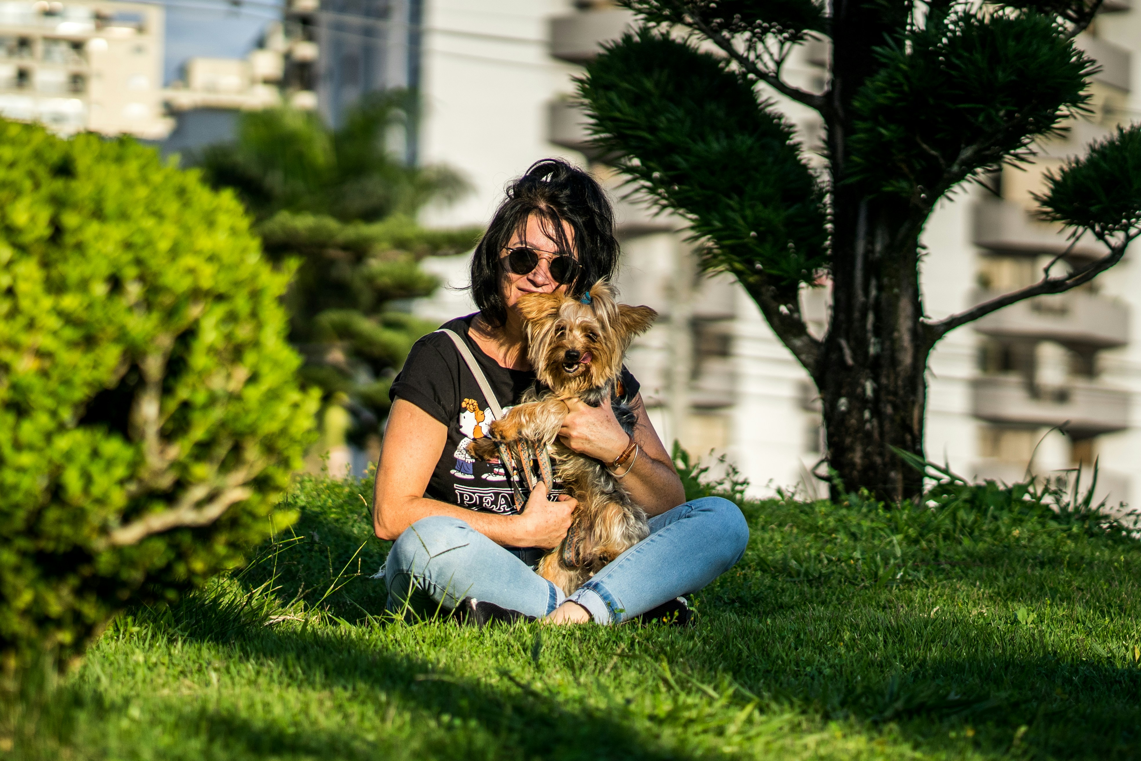 Woman in black tee with small dog on a sunlit grassy hill