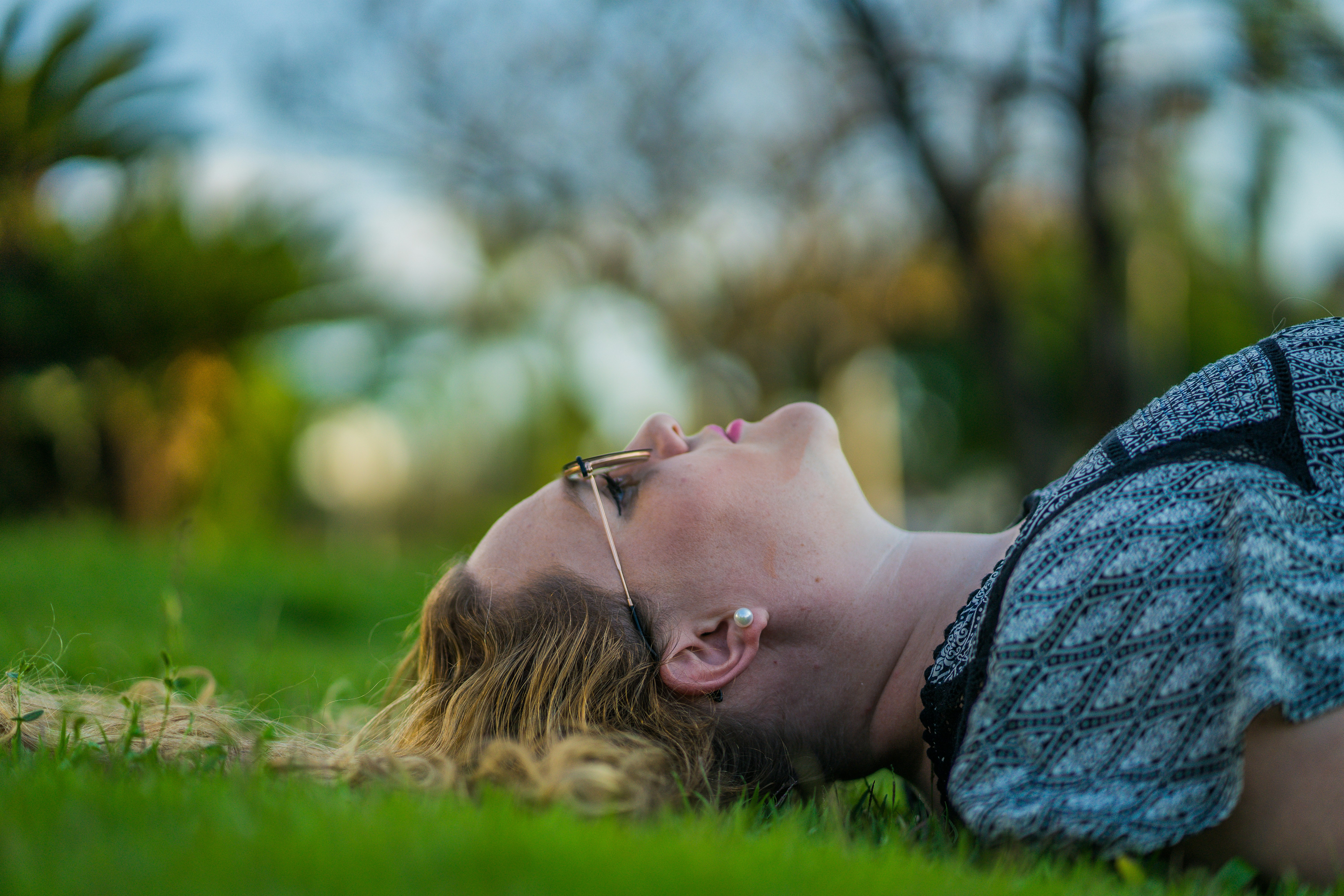 Sunlit Reverie: A Tranquil Moment on the Grass