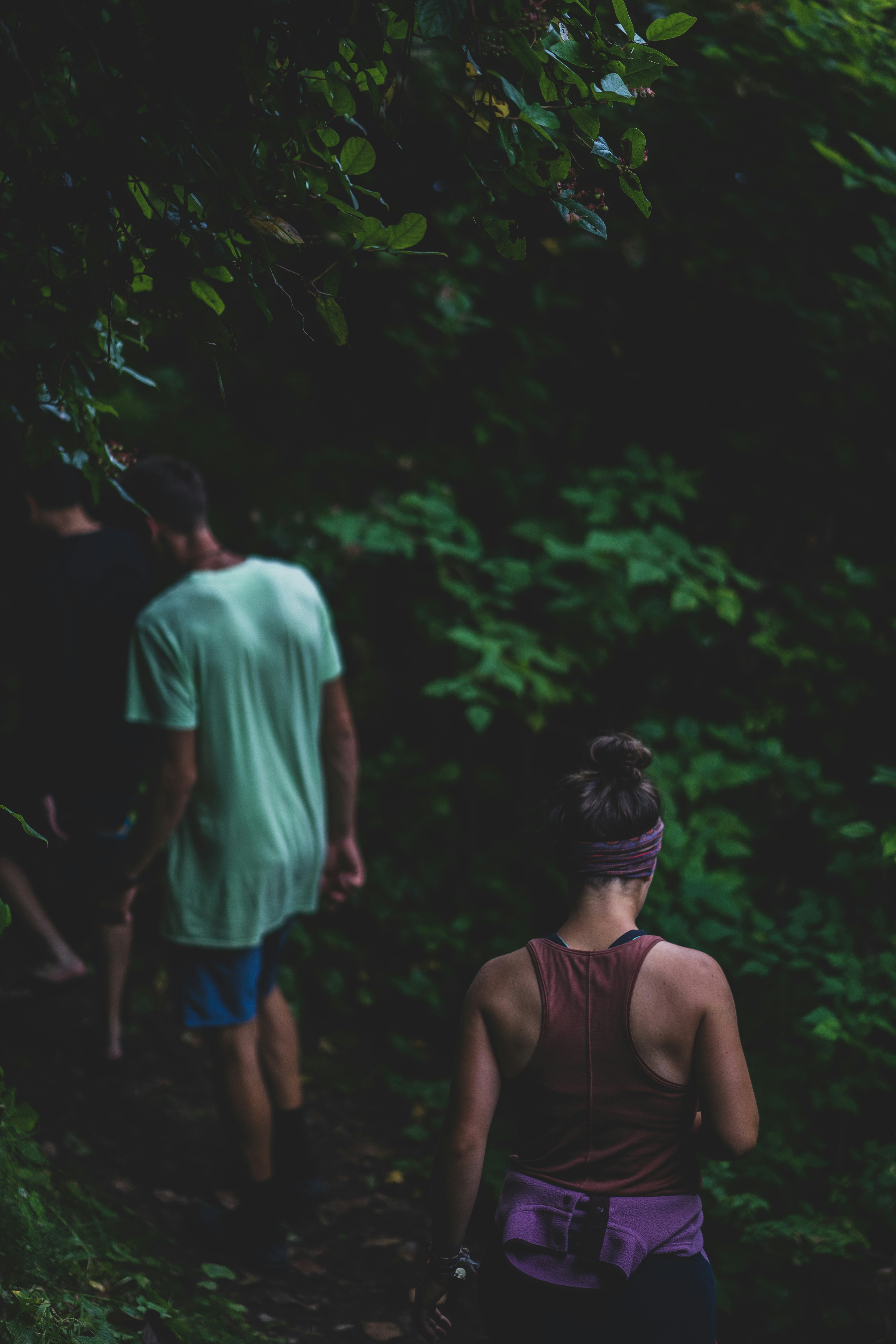 Trailhead Quiet: A Runner Pauses Beneath the Green Canopy