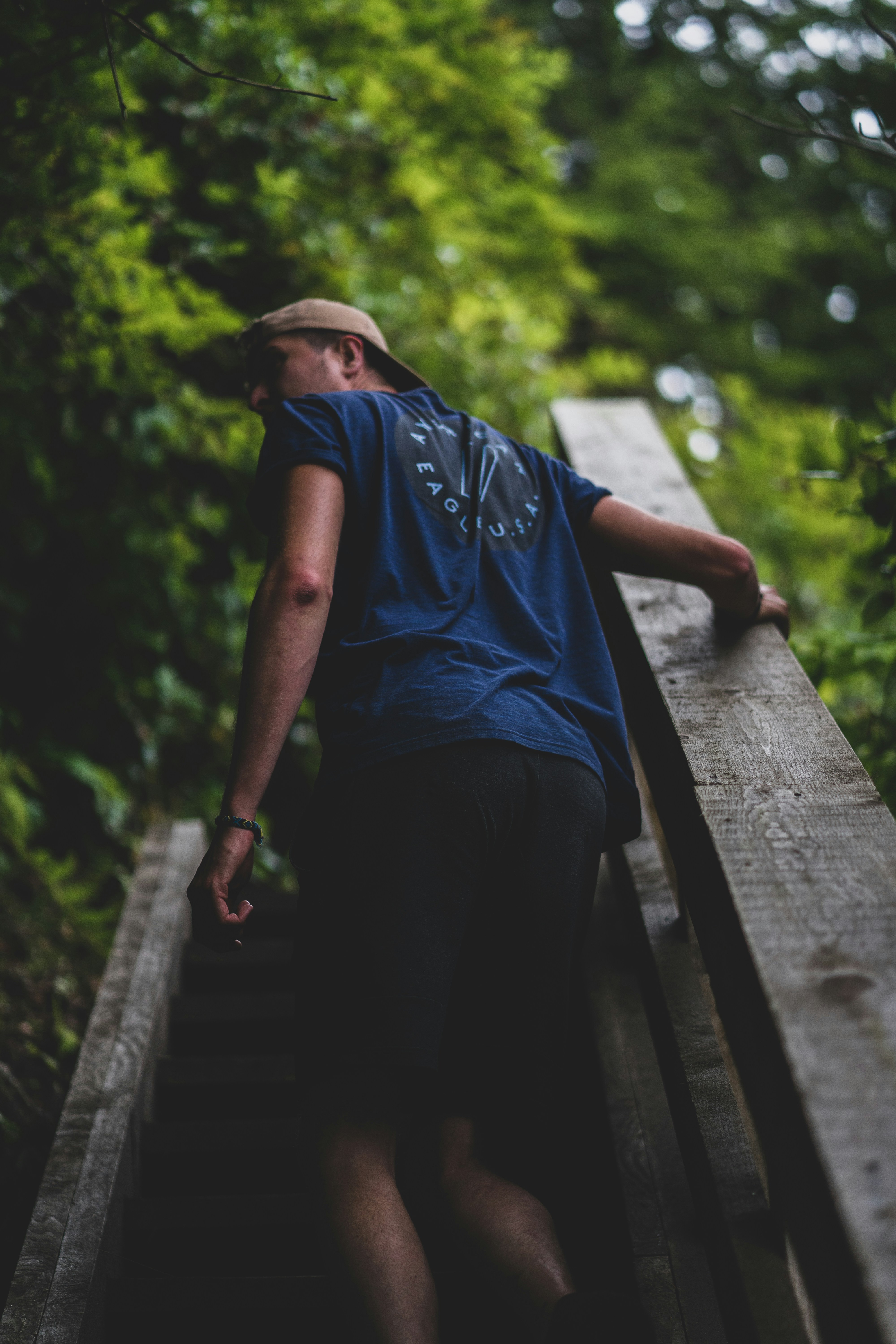 Ascending into the Green Corridor