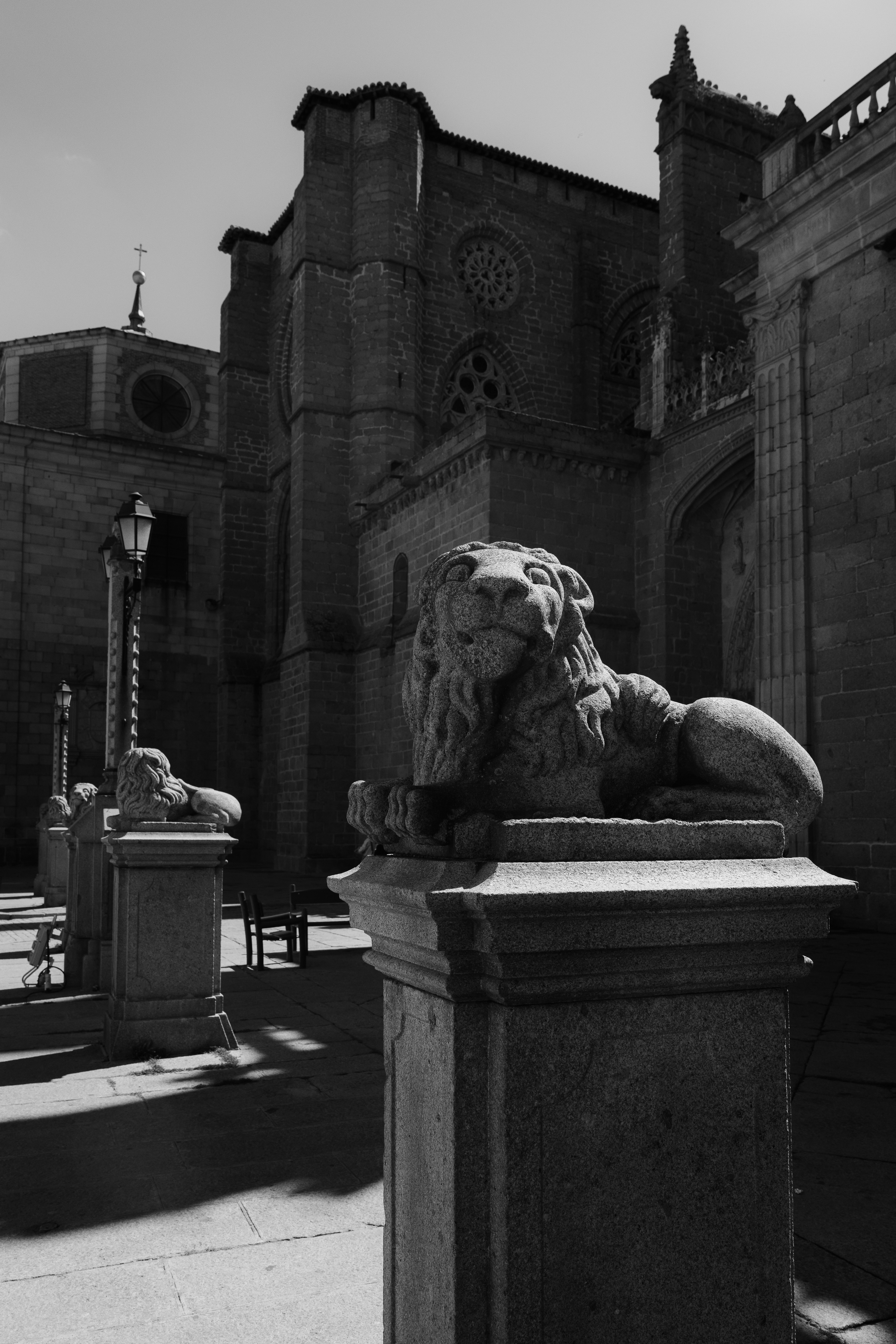Lions at the Gate: Stone Guardians of the Cathedral Courtyard
