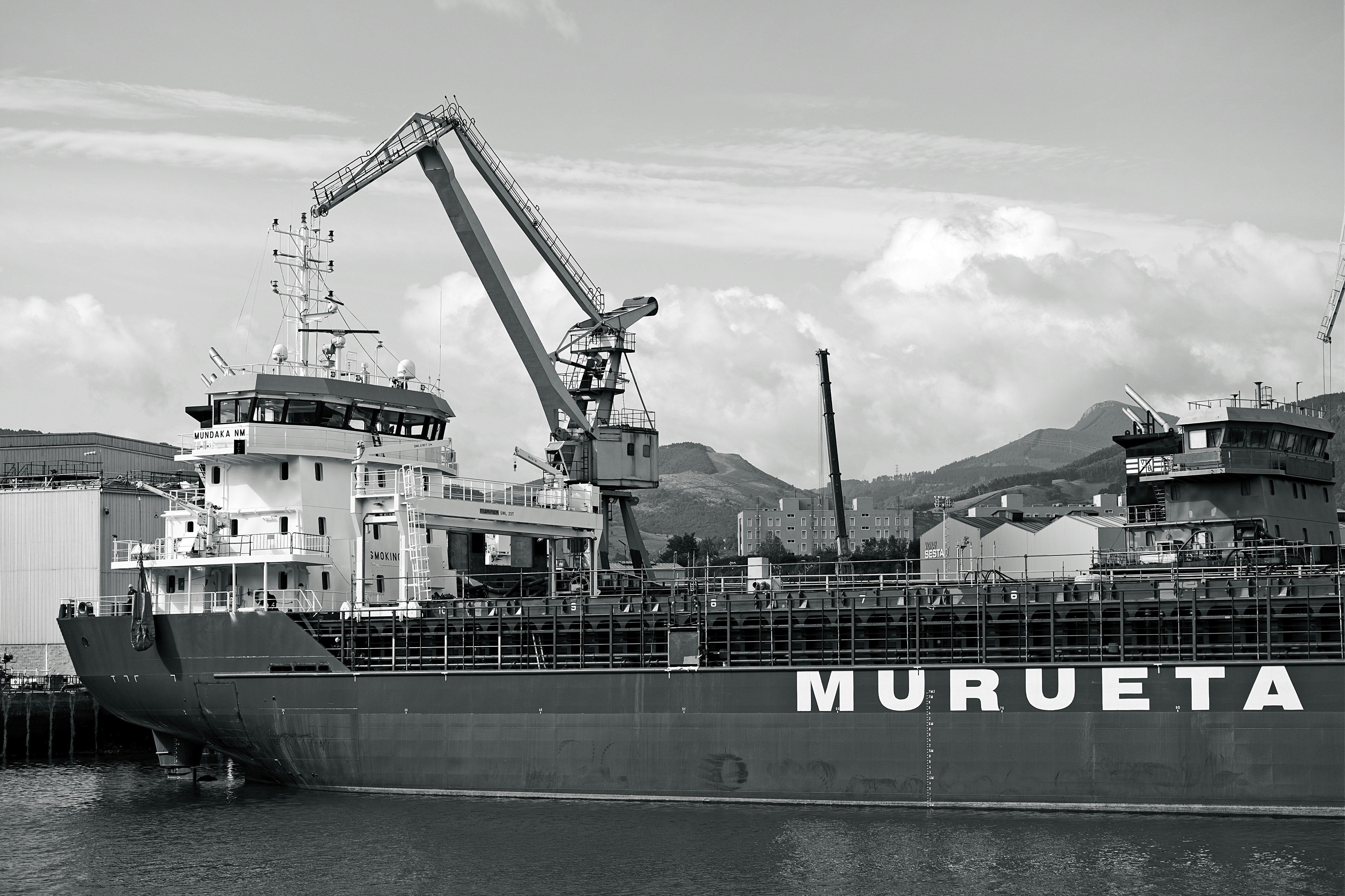 Industrial leviathan: a cargo vessel poised at the dockside