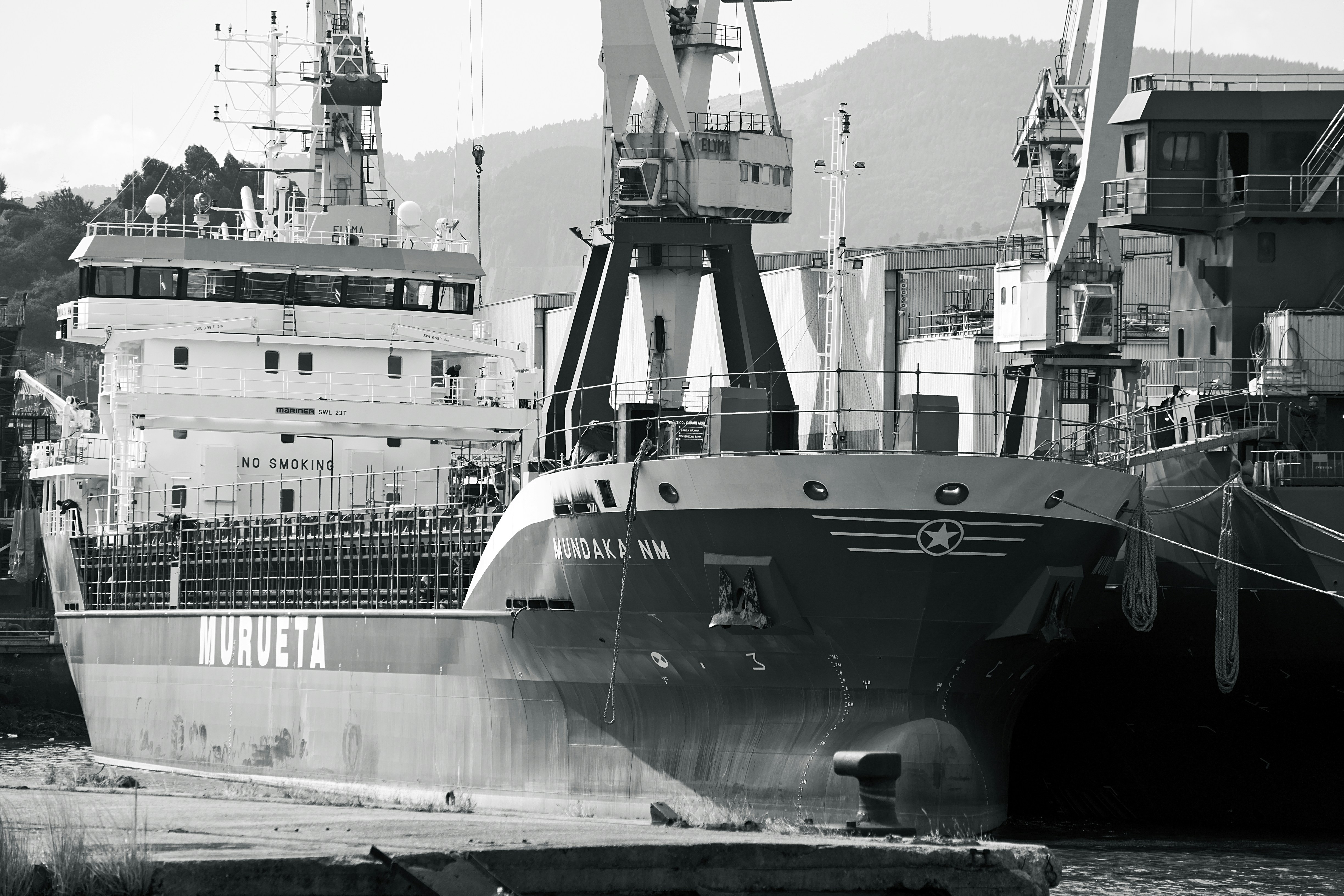 Harbor Giants: The Bow of a Loading Vessel at Dusk
