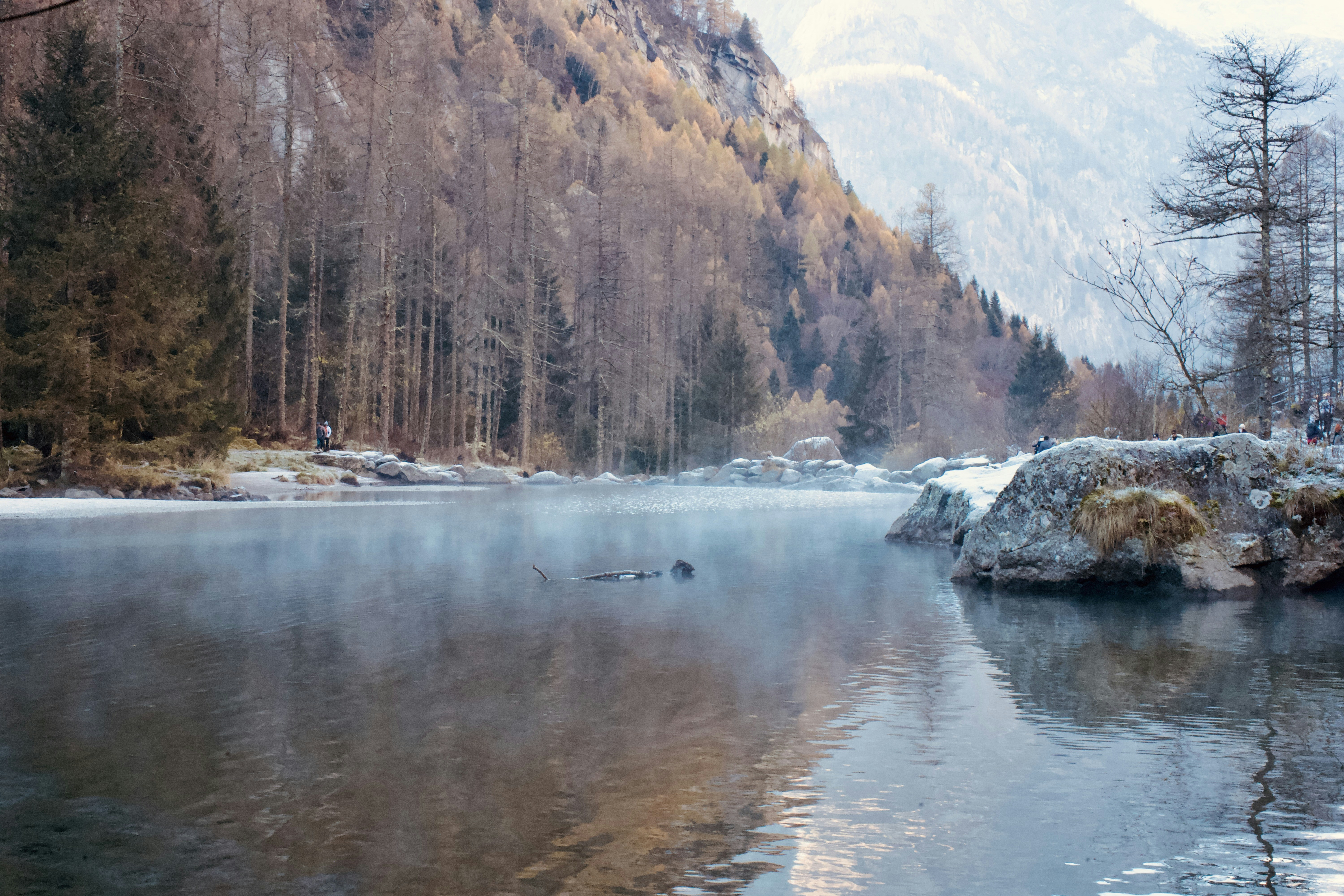 Winter Mirror: Quiet River Bend Amid Conifers