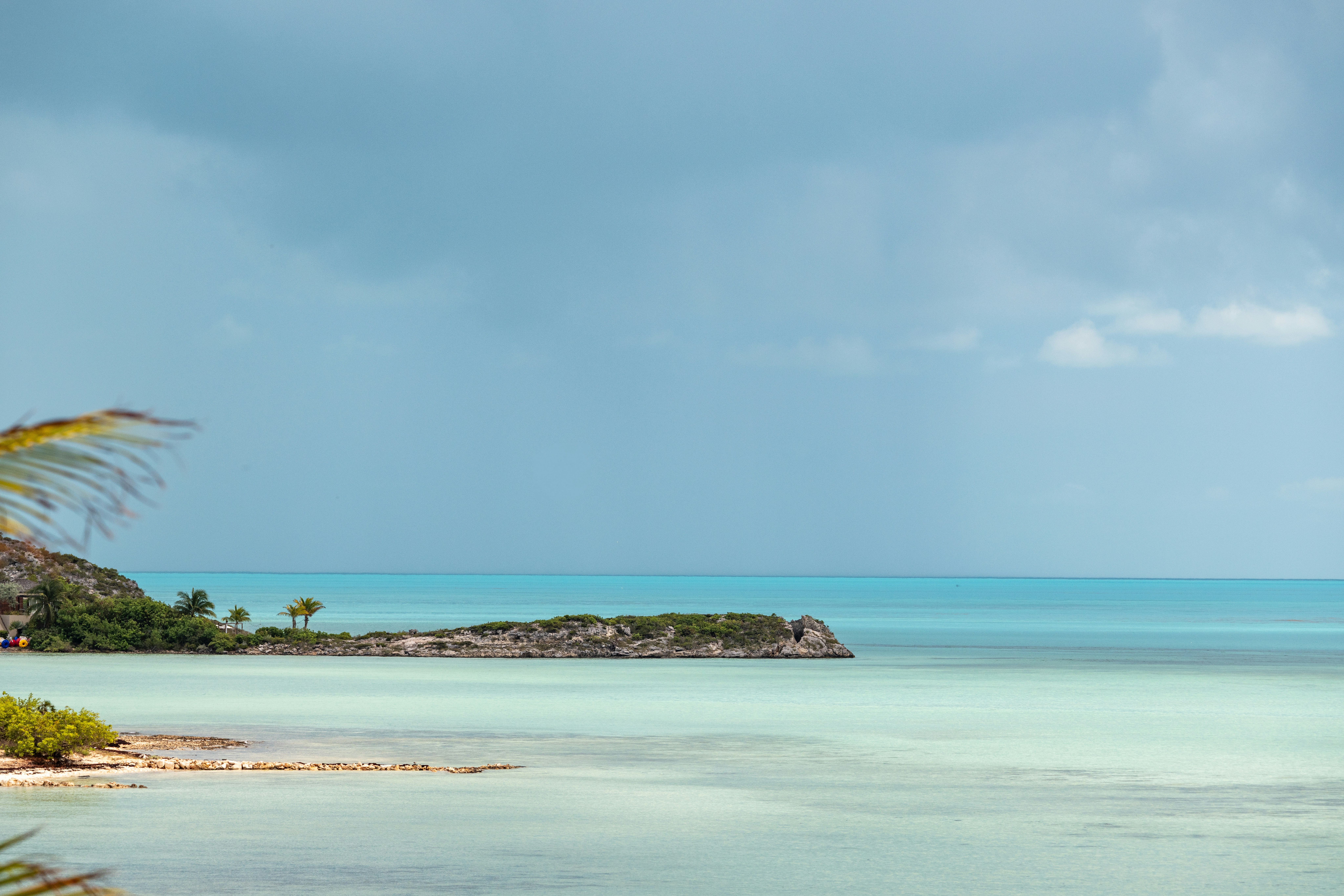 Turquoise Horizon: A Quiet Lagoon Speckled with Palm Fronds