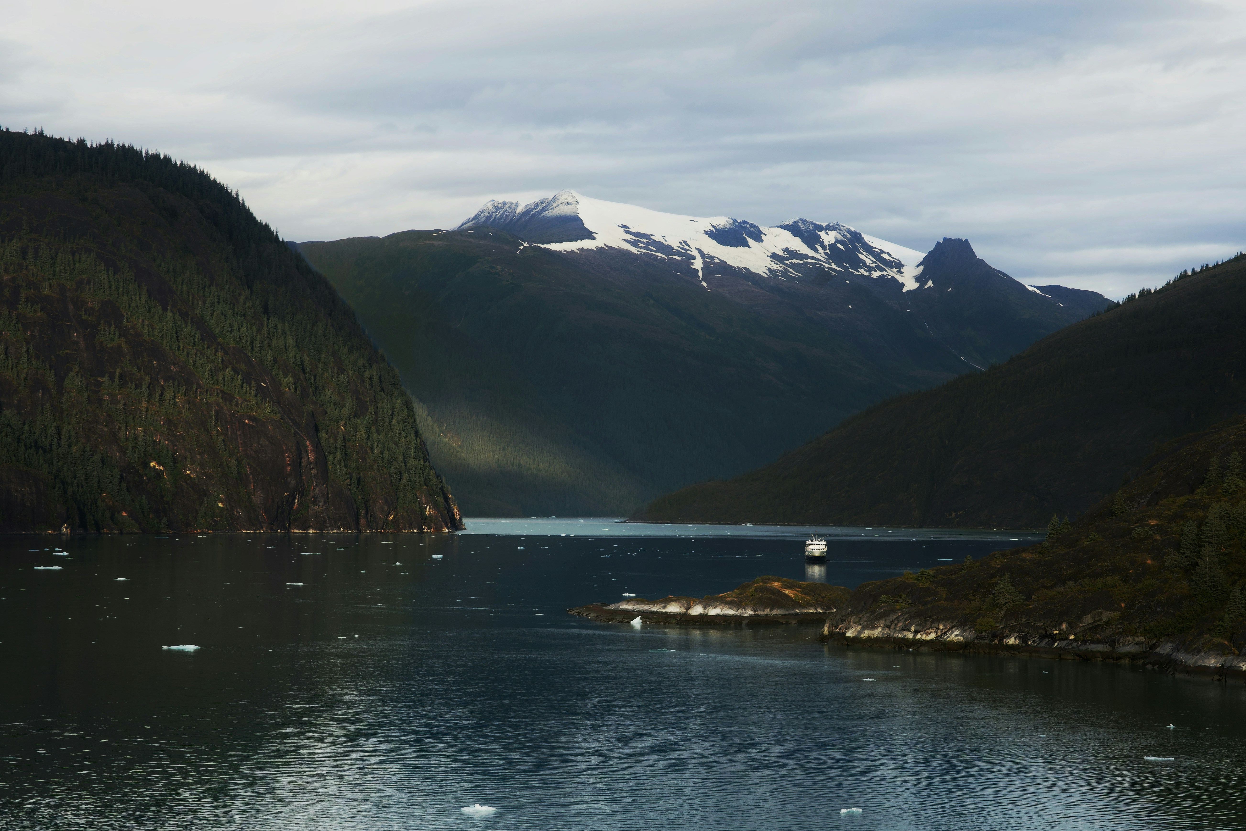 Glacial Fjord Confluence Under Snow-Capped Peaks