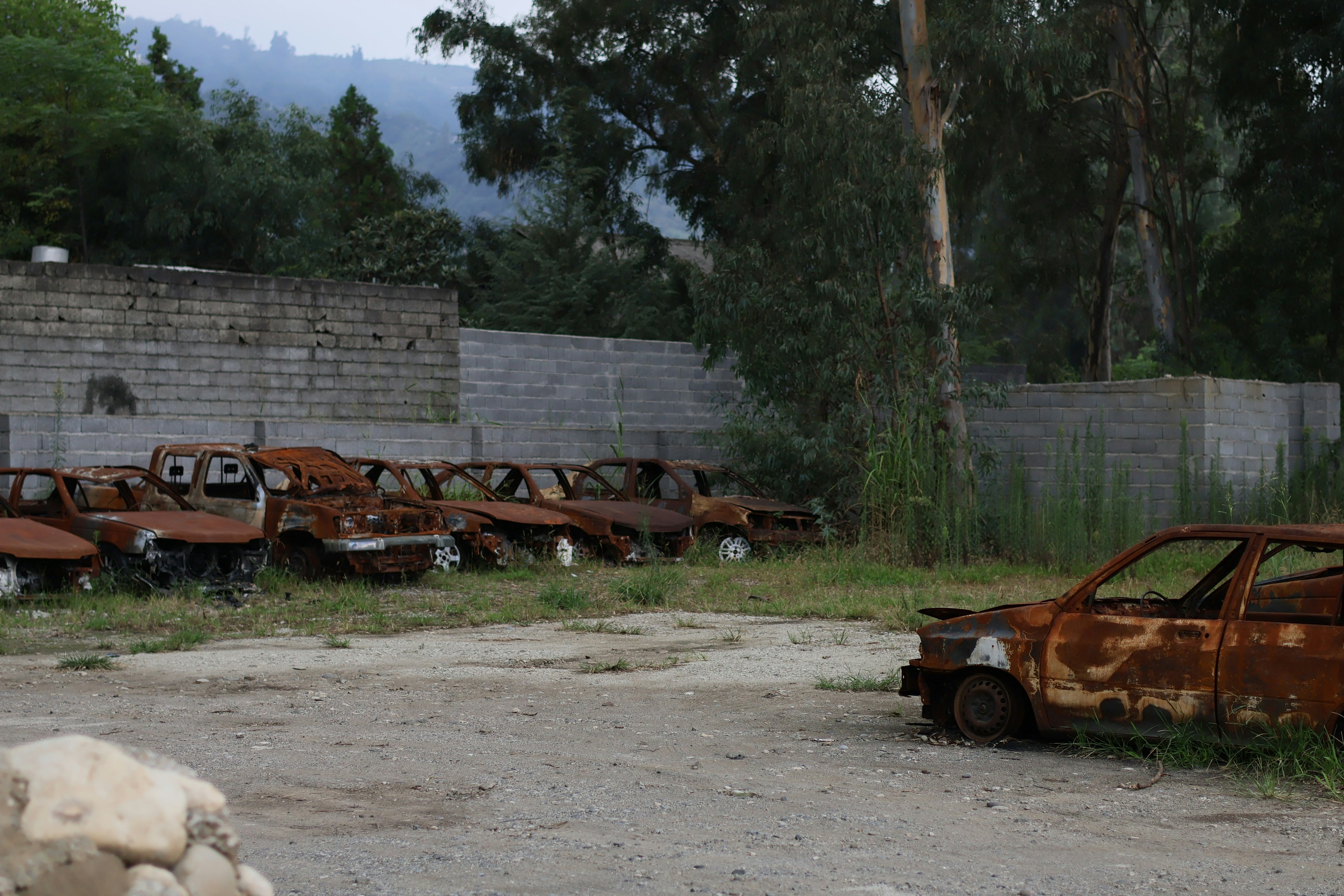 Rusting Choir of Cars: A Quiet Field of Time-Worn Echoes