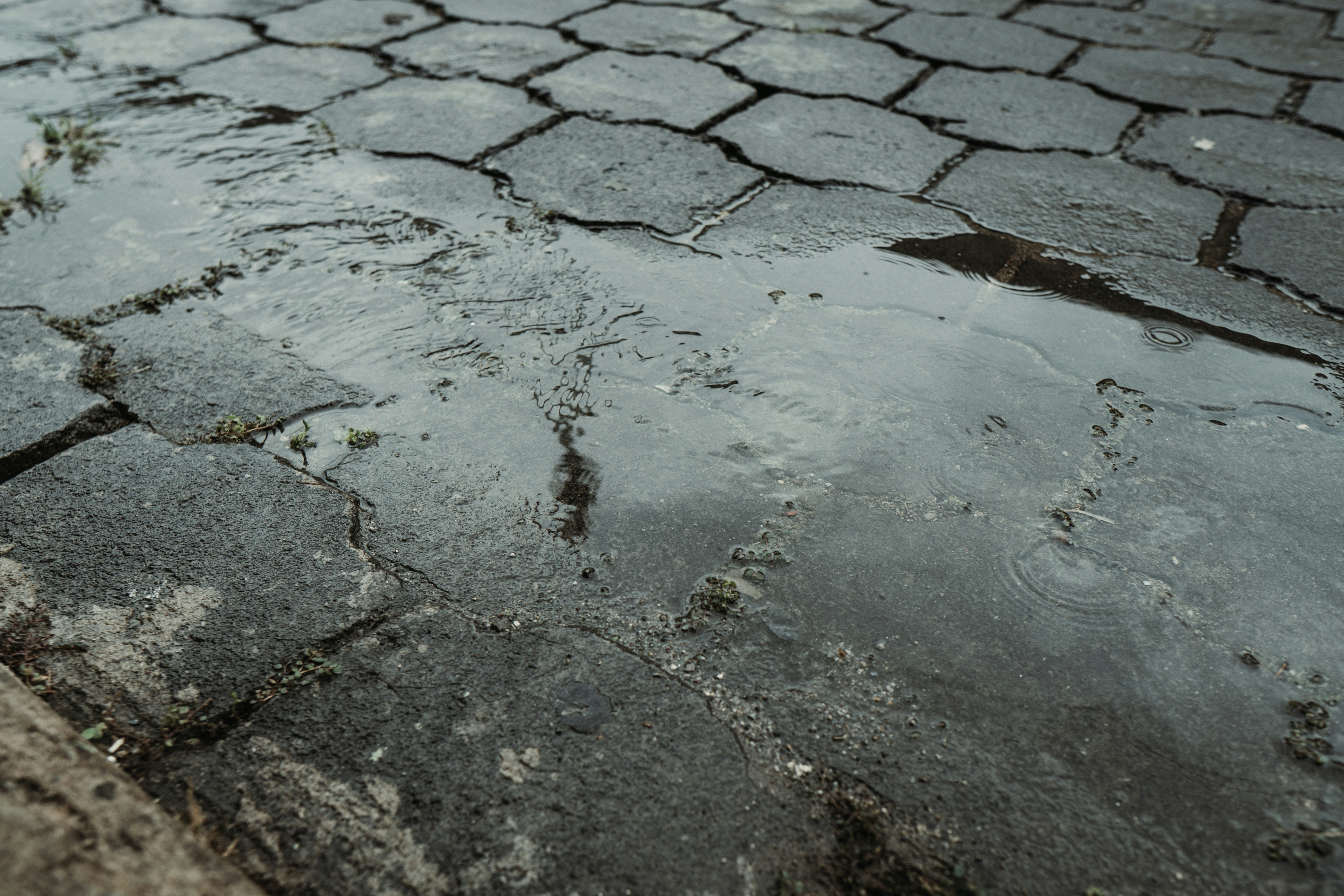 Rainwashed Mosaic: Cracked Stone Terrace After a Drizzle