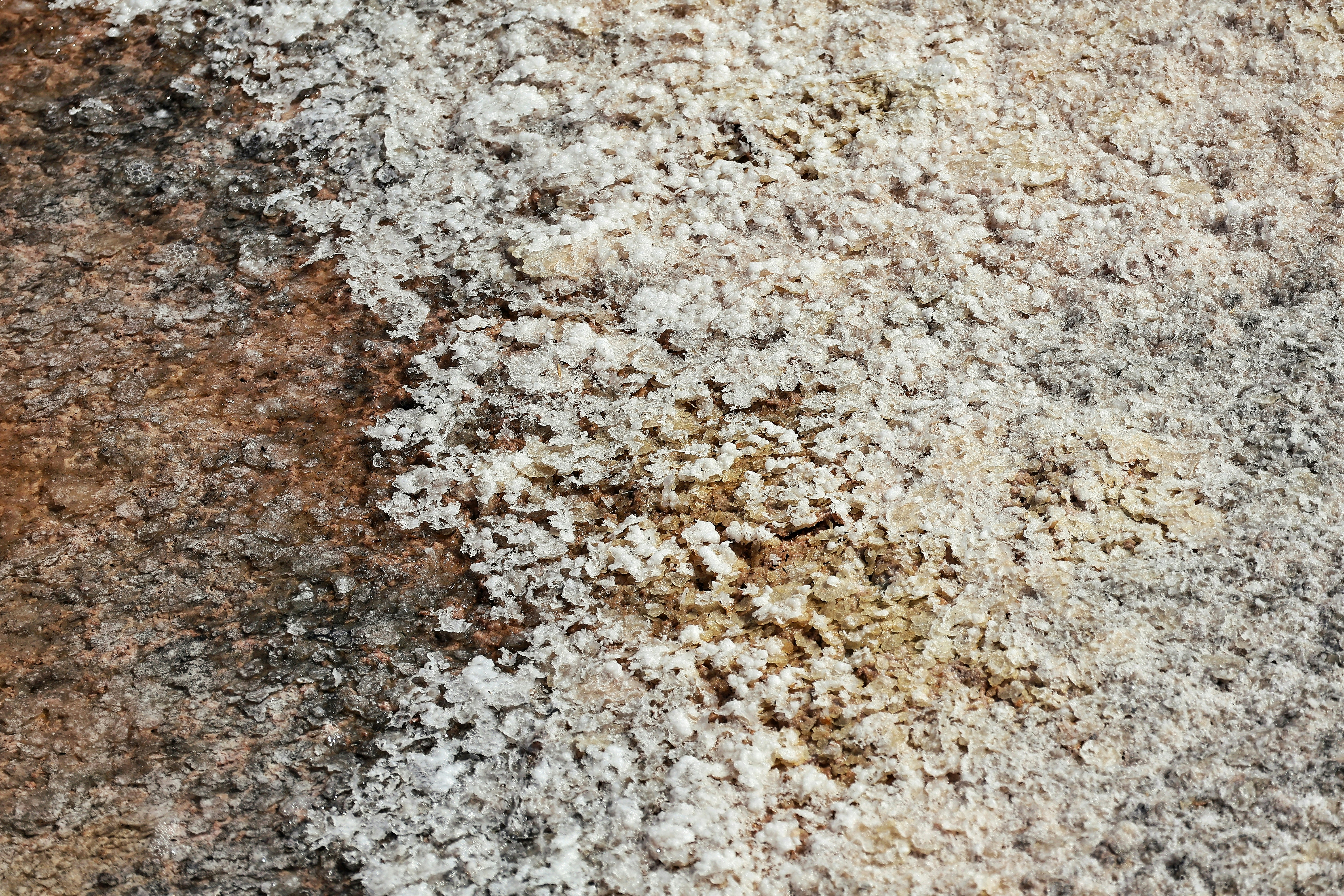 Crystalline white salt deposits forming a crust over a textured brown earth surface