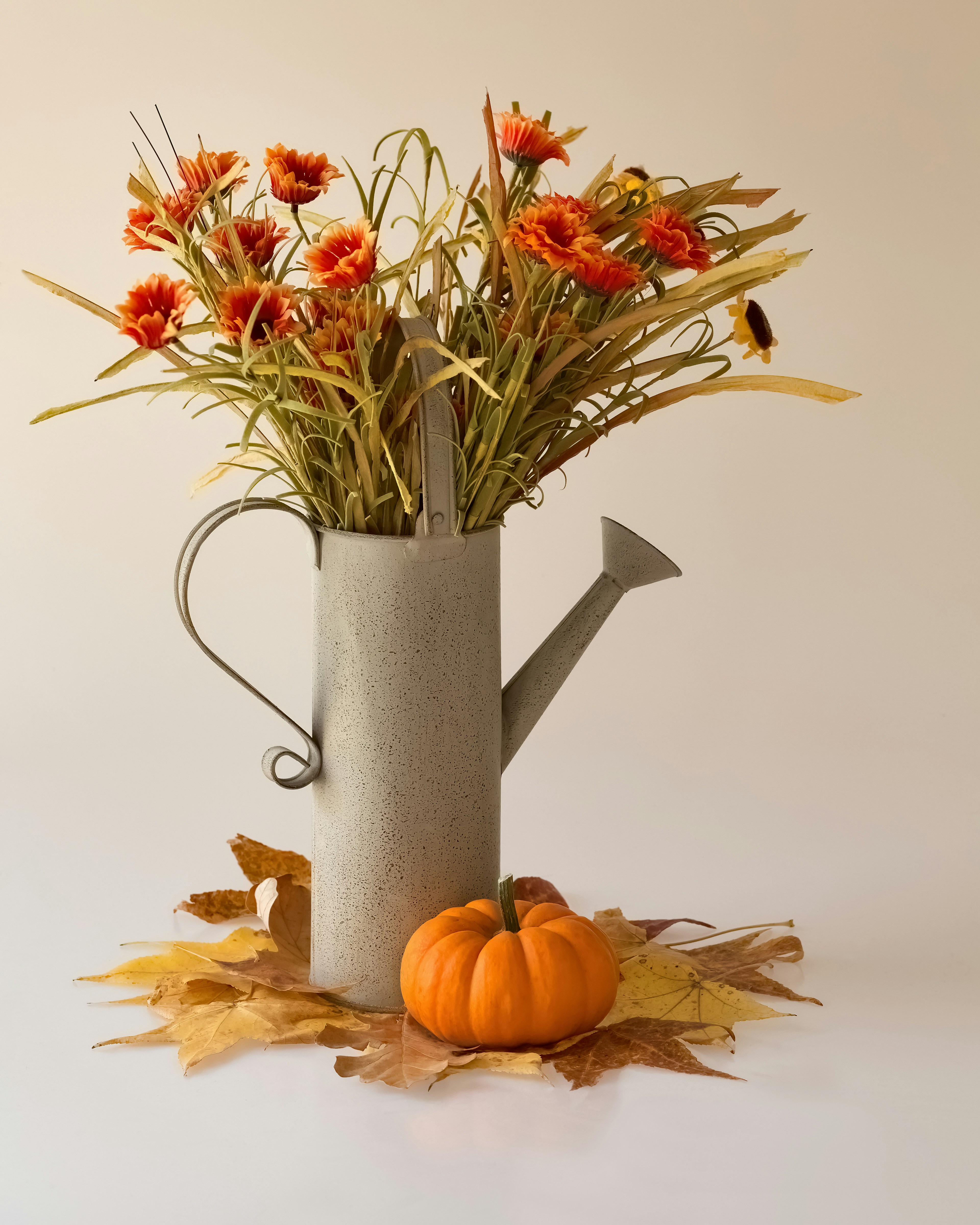A still life featuring a galvanized metal watering can filled with orange daisy-like flowers, surrounded by dried leaves and a small pumpkins sits at the base on a light backdrop.