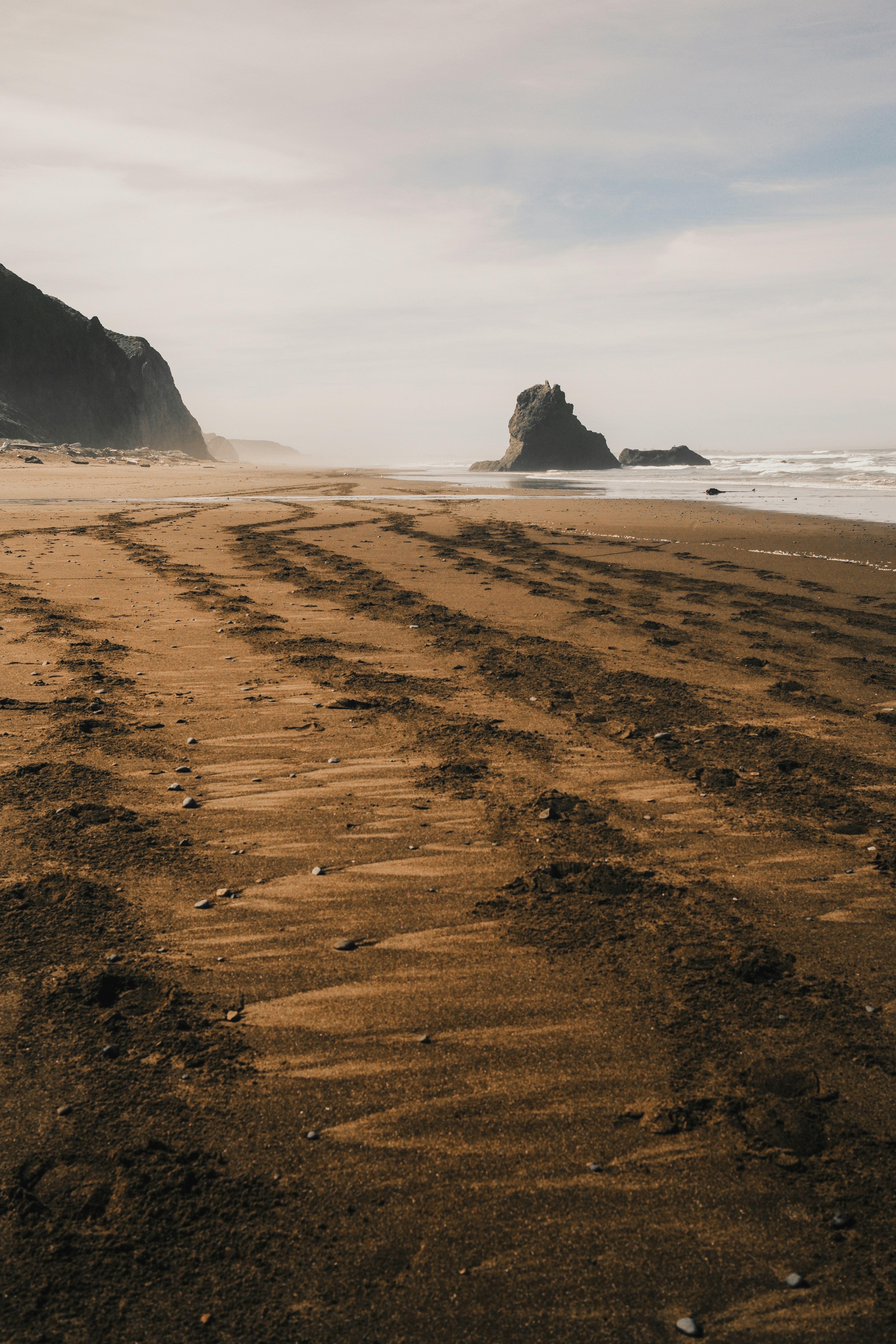 Ridge and Rock: A Seaside Path carved in Golden Sand