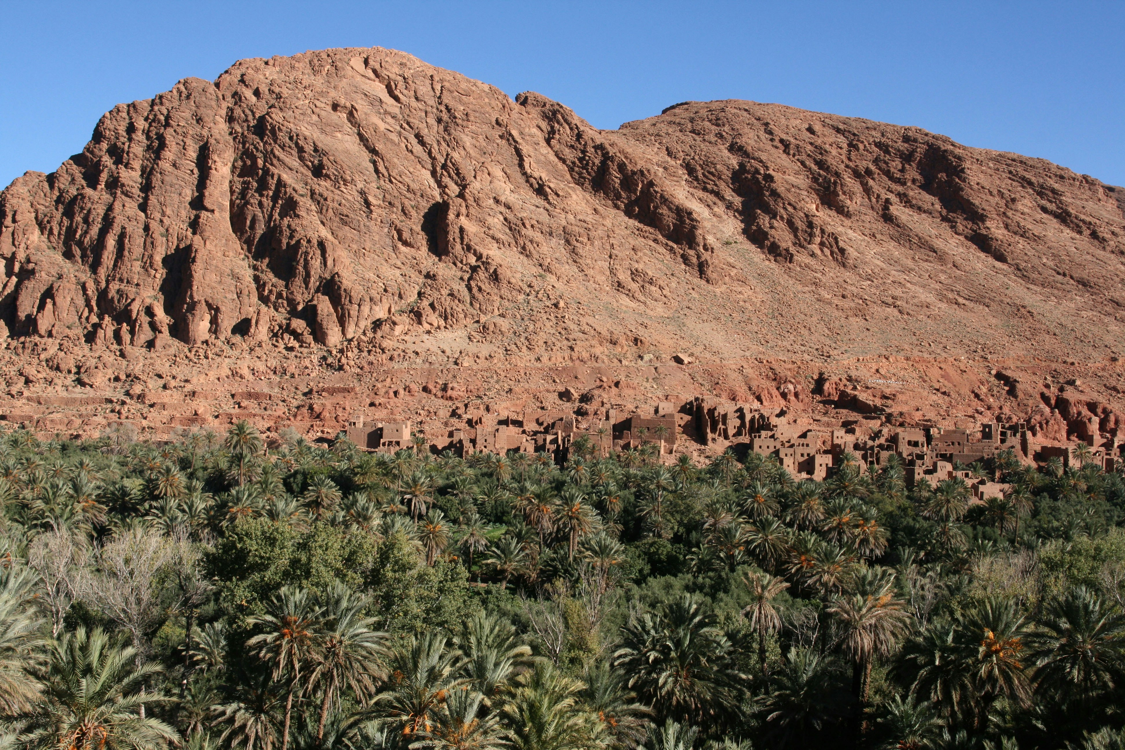 Desert Ridge Overlook: Crimson Cliff and Oasis of Palms