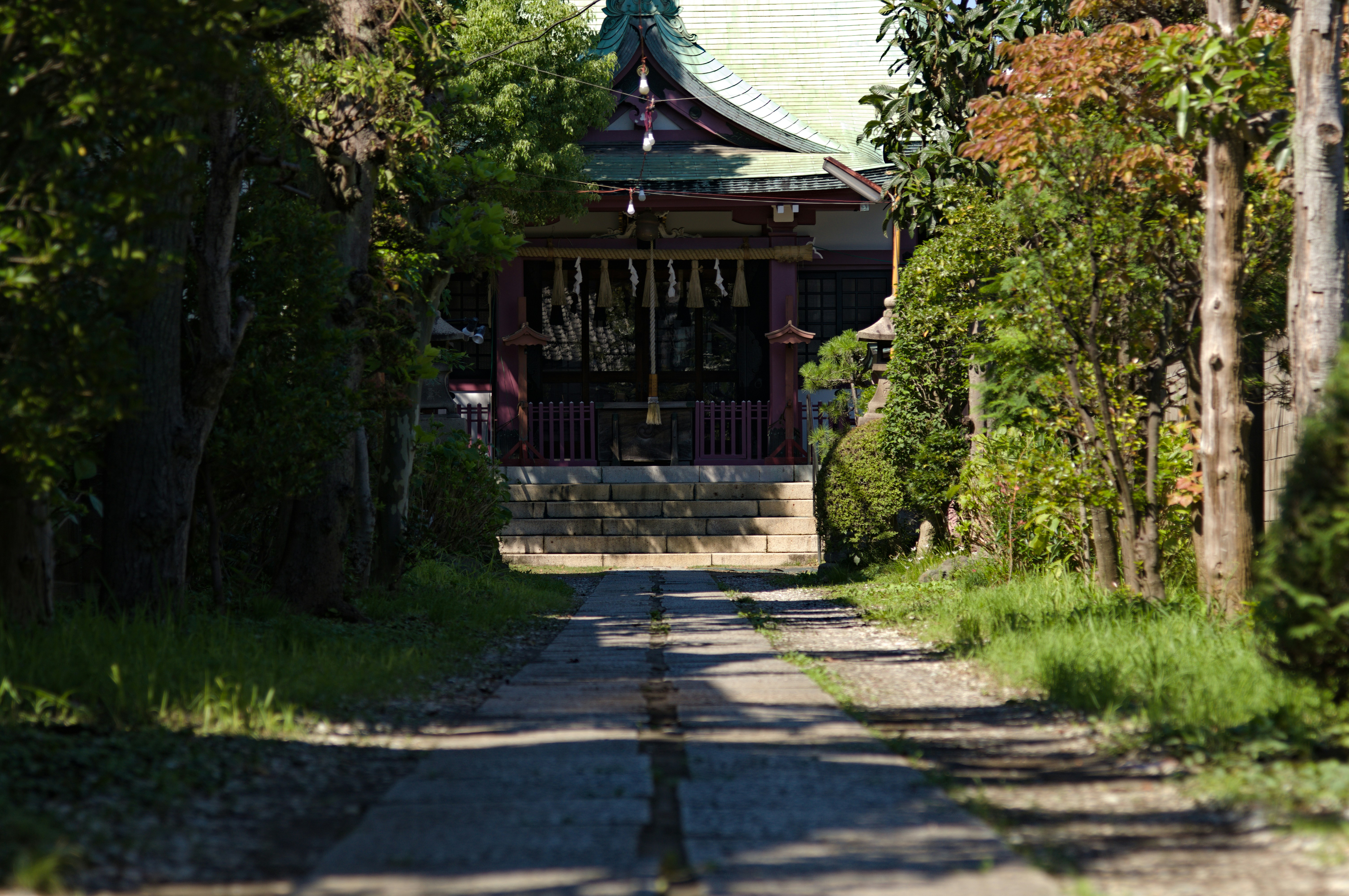 Path to the Shrine: A Quiet Corridor Framing the Gatehouse