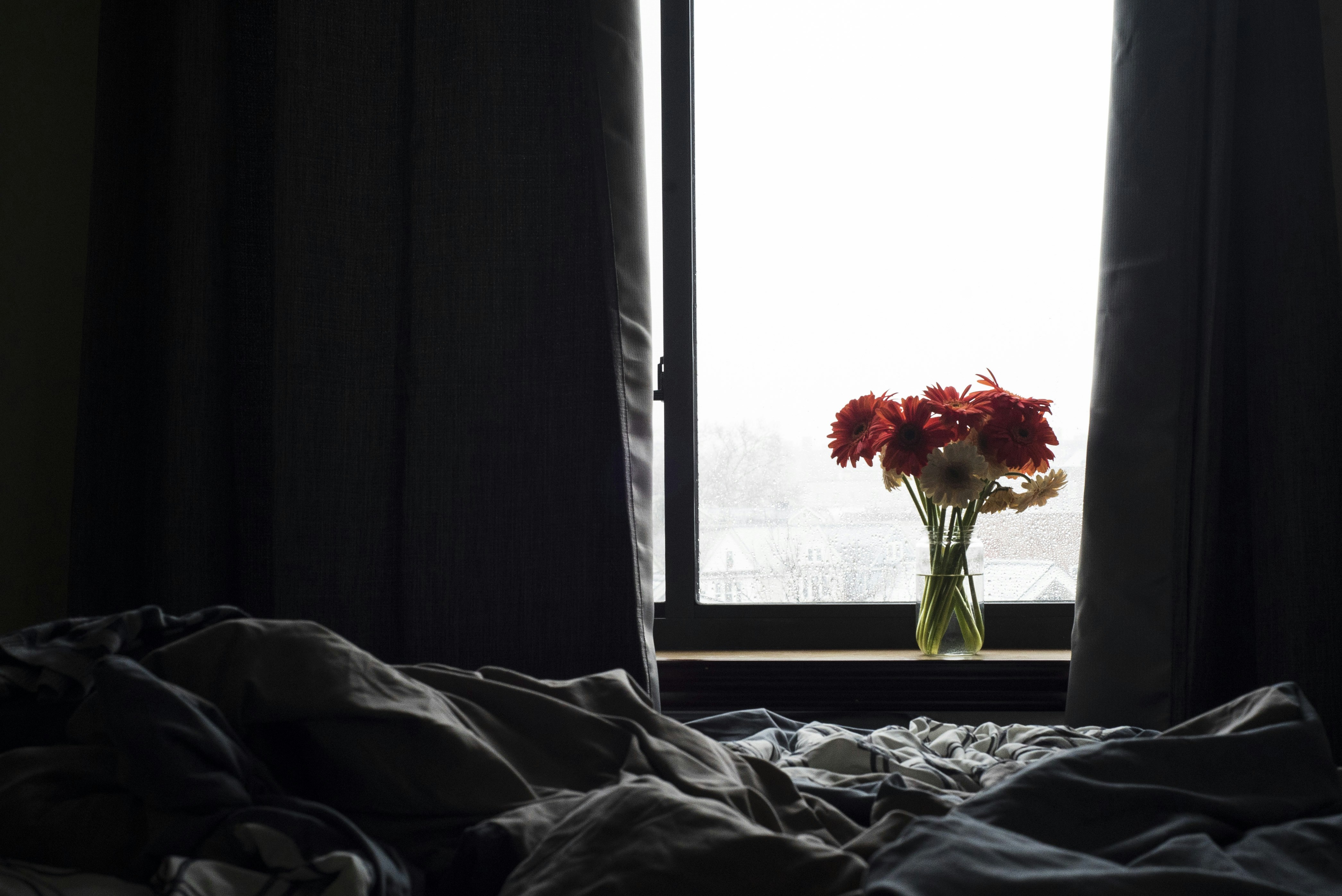 Vase of red gerbera flowers sits on a windowsill, viewed from a dimly lit bedroom with a rumpled bed in the foreground.
