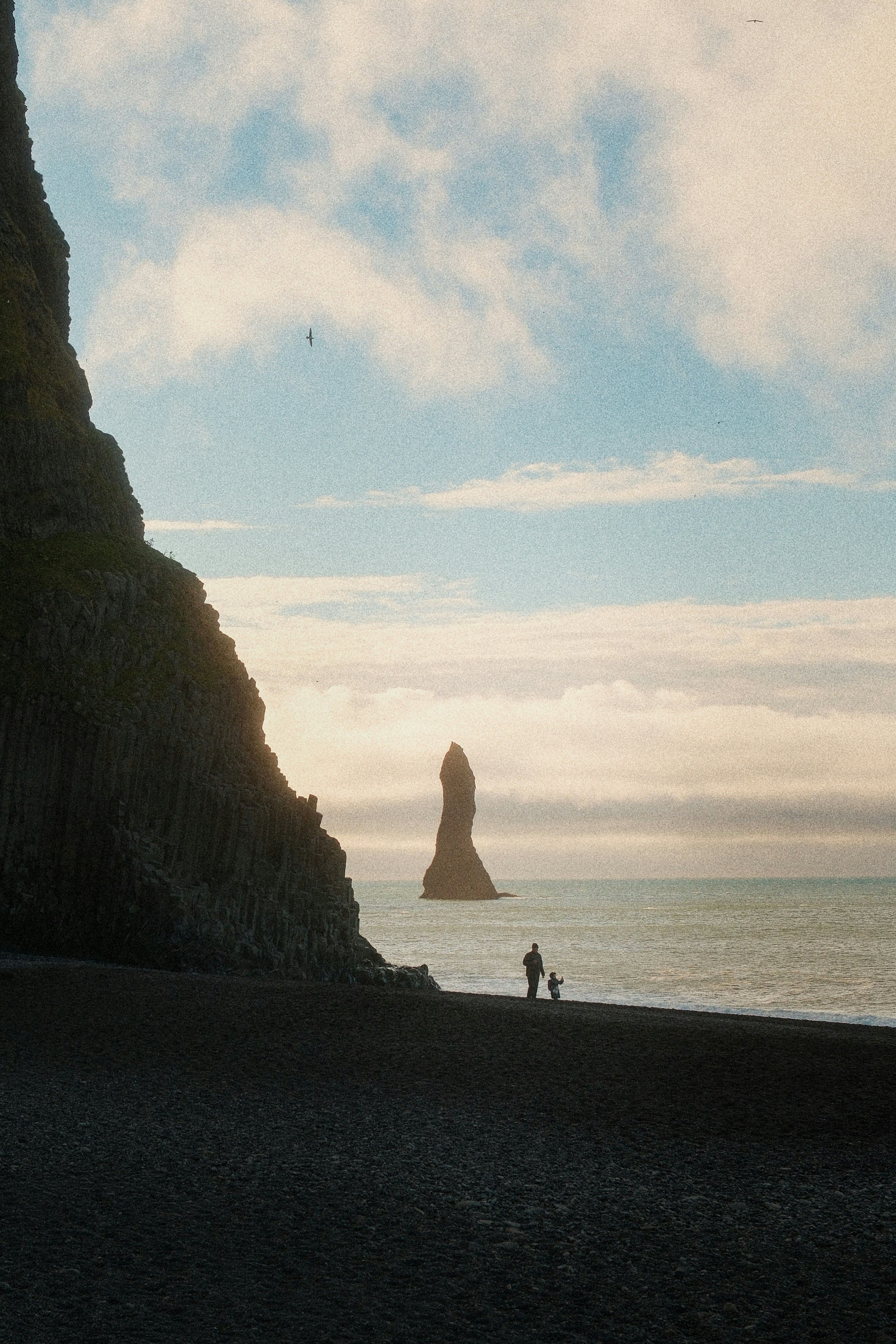  silhouette on the shore: a lone figure with a dog at sea under basalt cliffs
