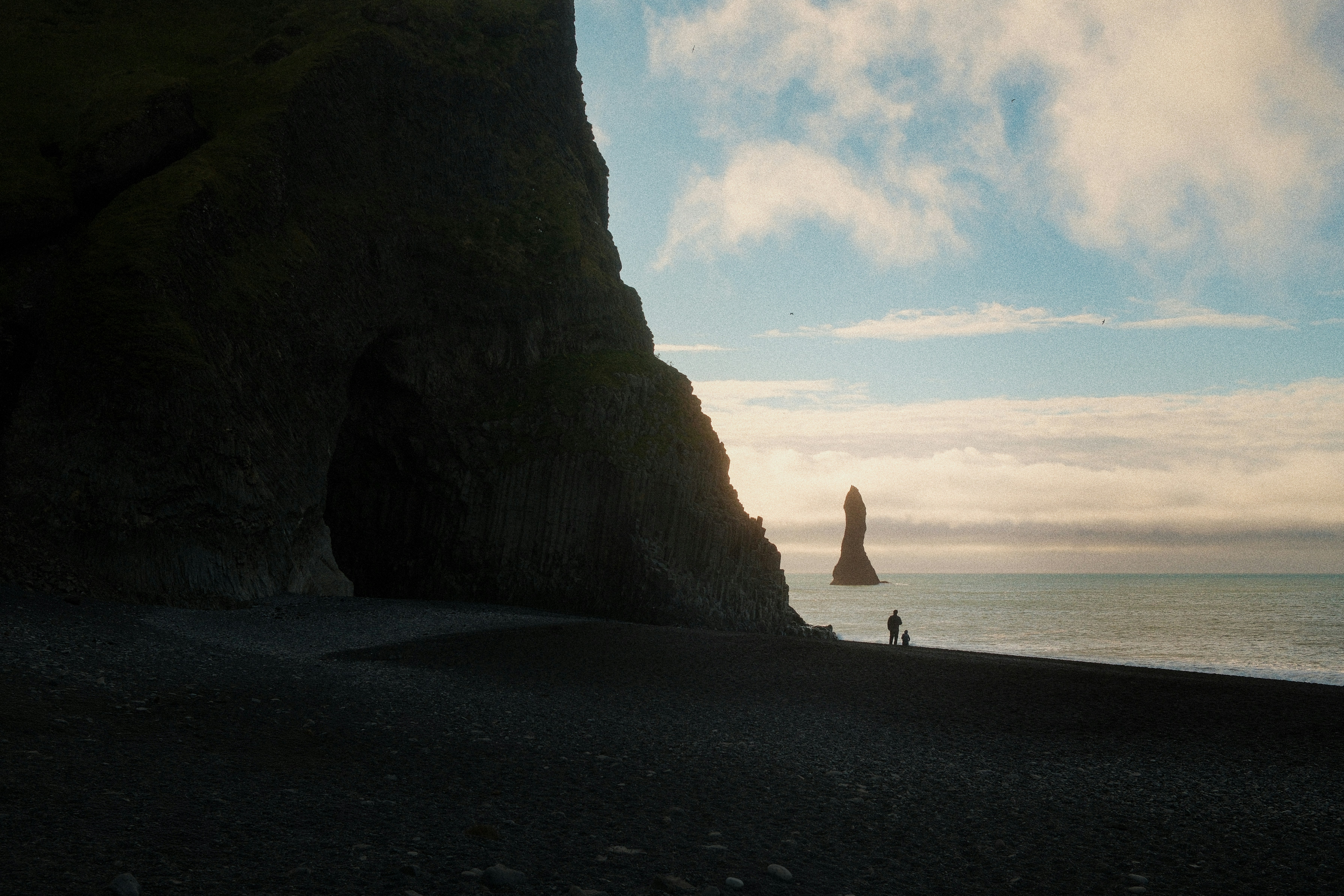 Silhouetted Theorem: A Lone Visitant Near the Sea Stack