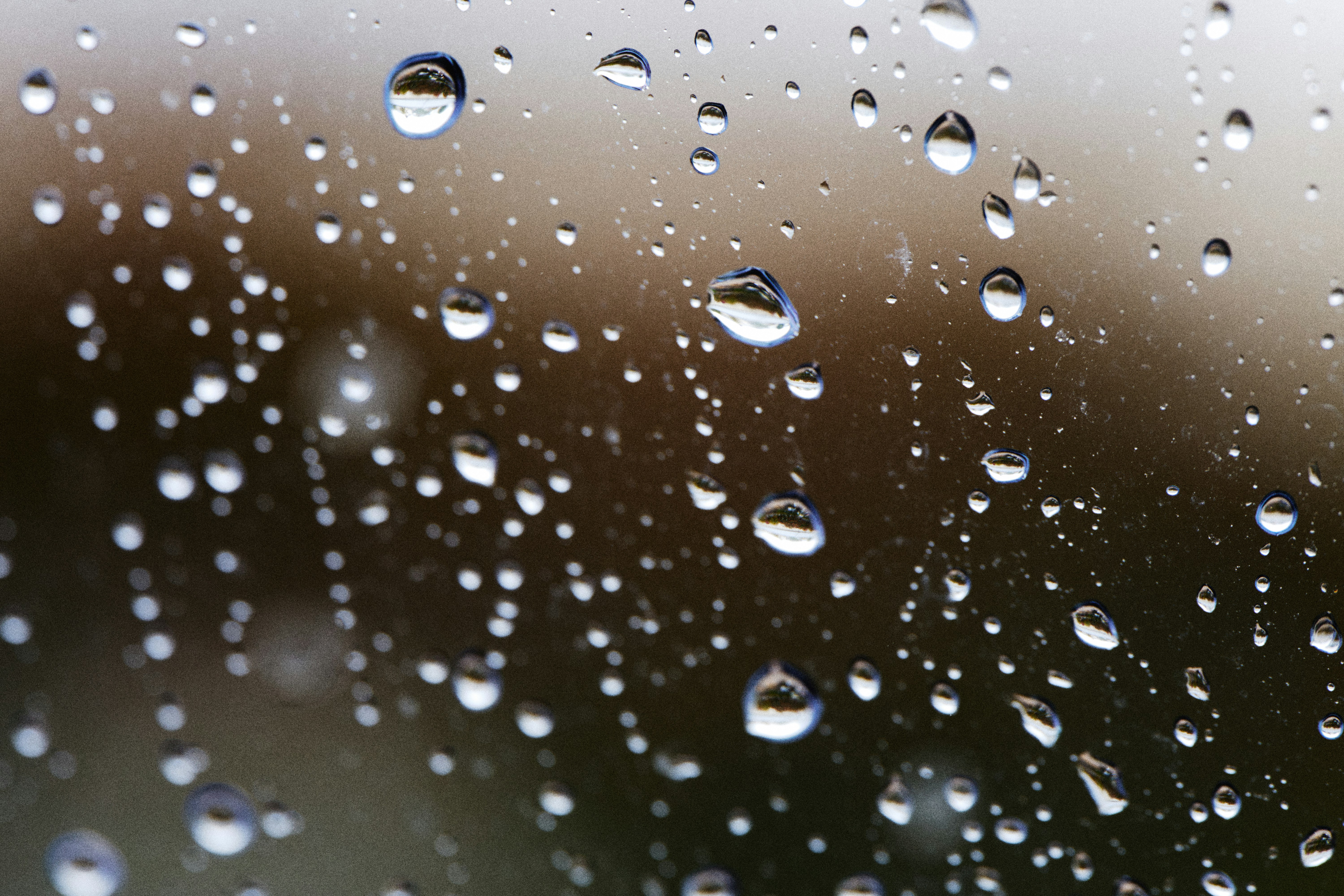 Dewdrop Mosaic on Glass: Morning Rain Beads