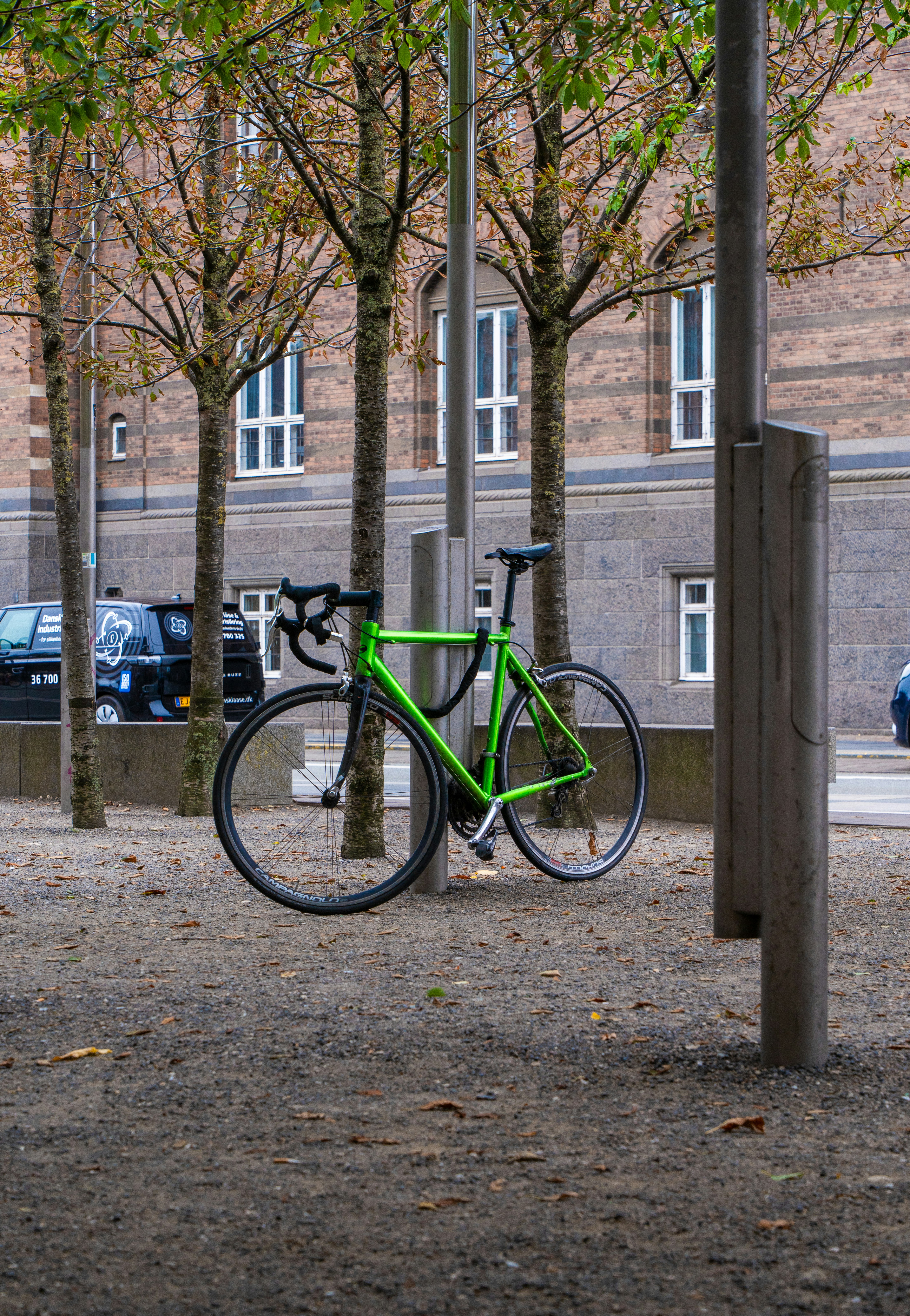 Urban green bike under a canopy of trees and lampposts
