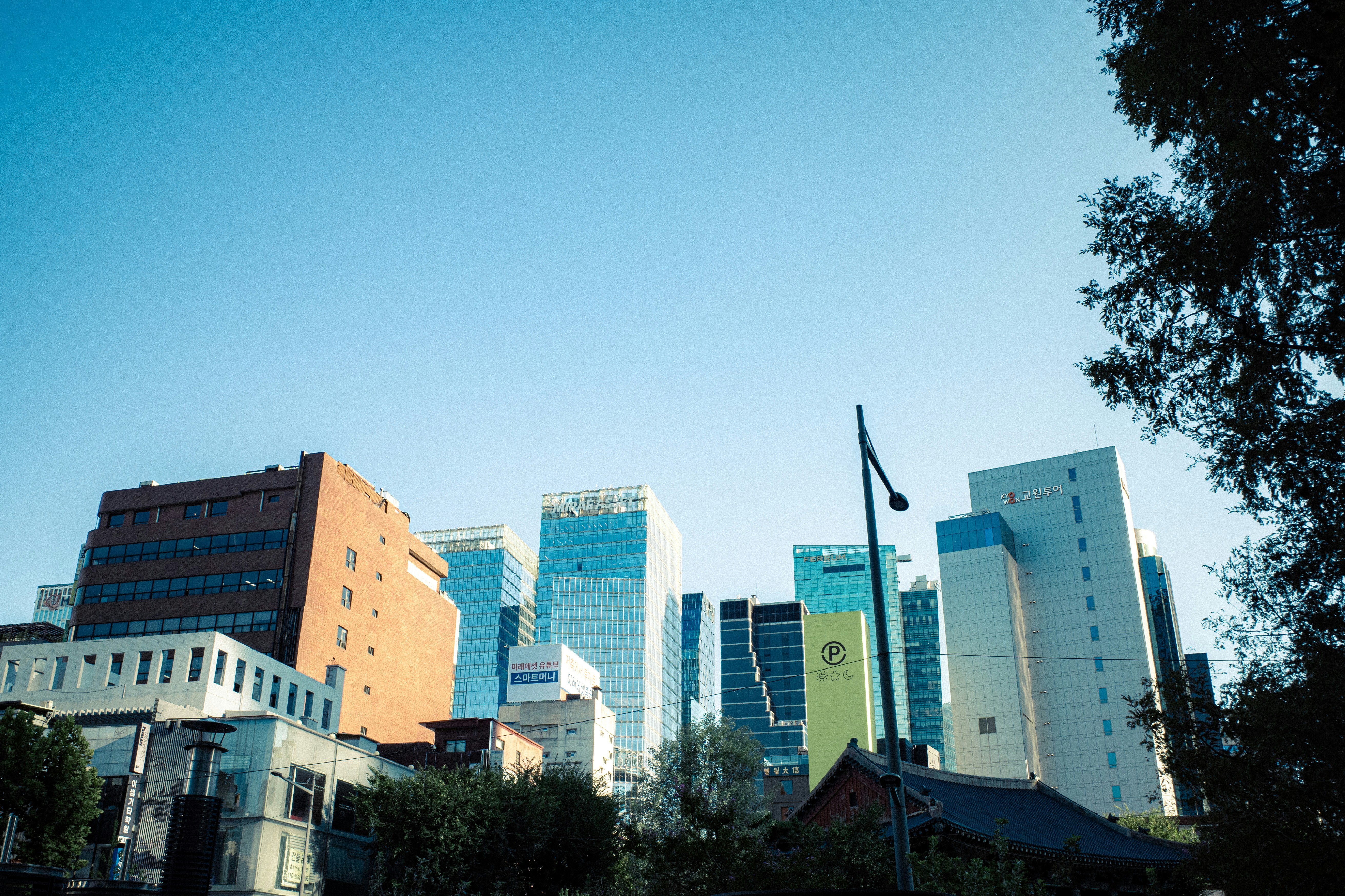 Urban Horizon: Glass Towers Against a Clear Blue Sky