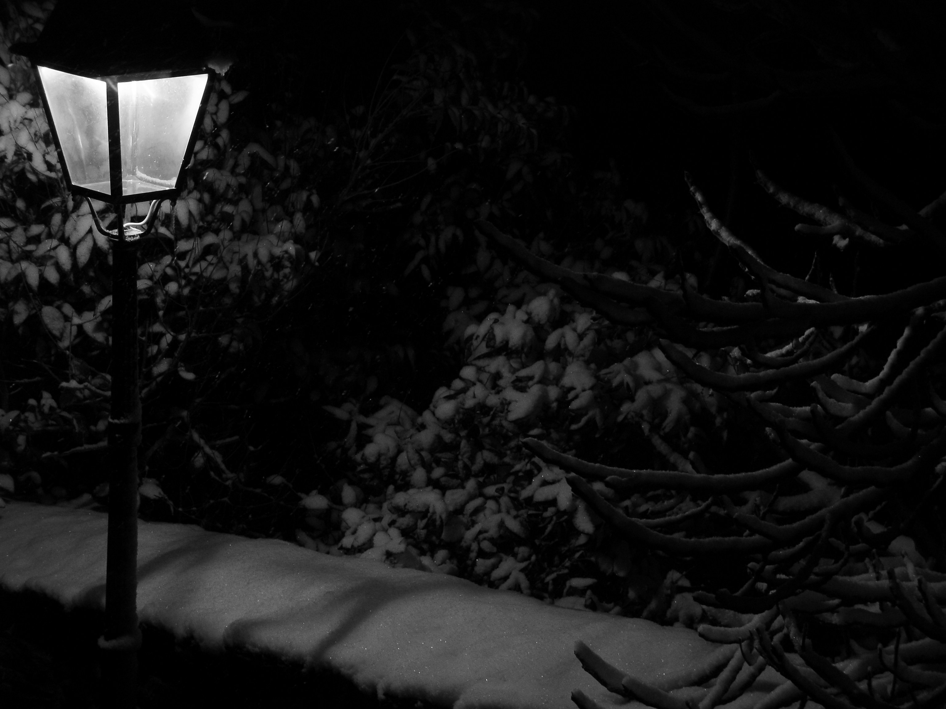 Glowing Streetlamp in Winter Night
