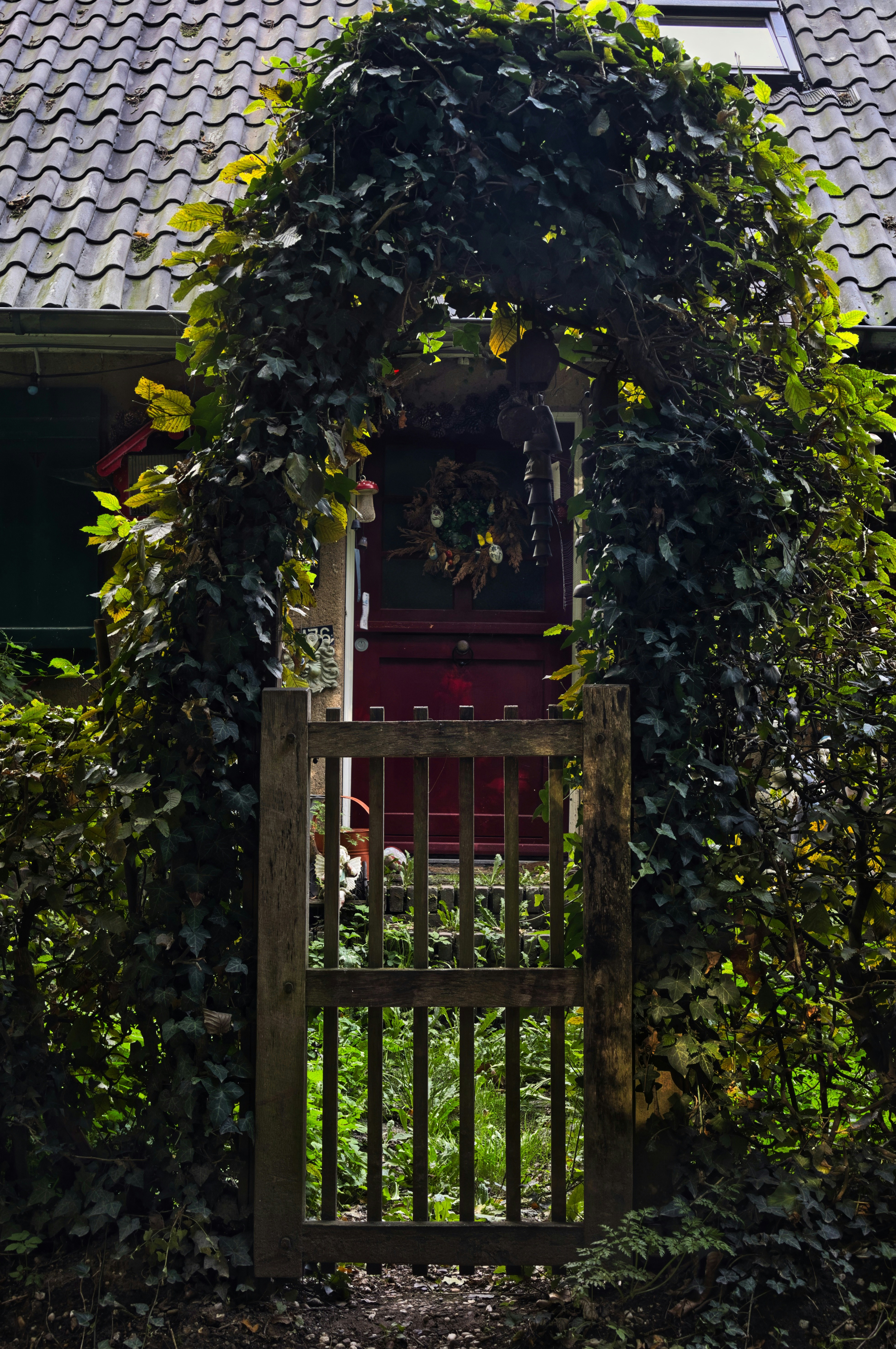 Photo by Wolfgang Vrede with Canon EOS R10