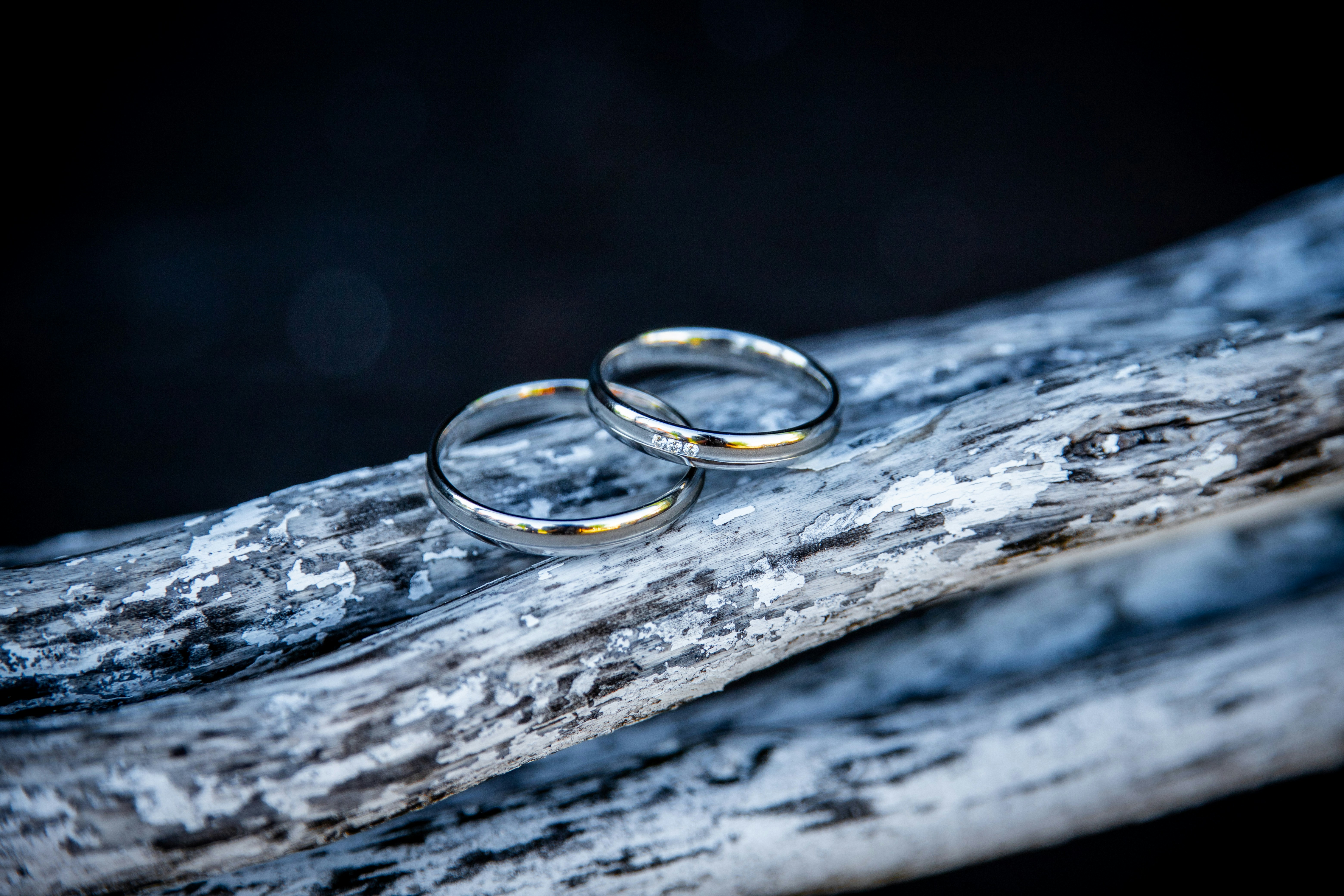 Two silver wedding rings resting on a piece of weathered driftwood