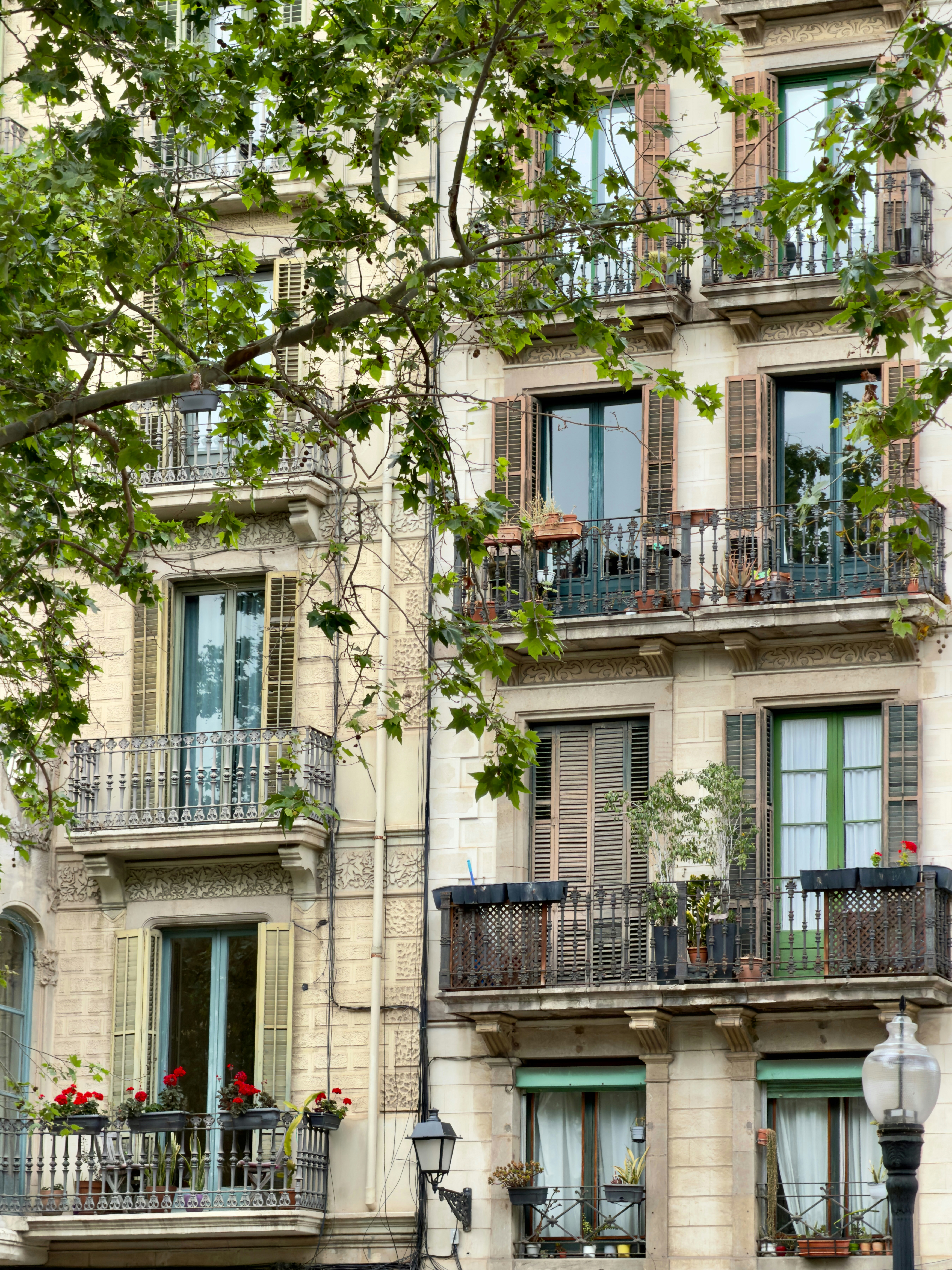Balconies in Bloom: Parisian Facades Framed by Green Canopy