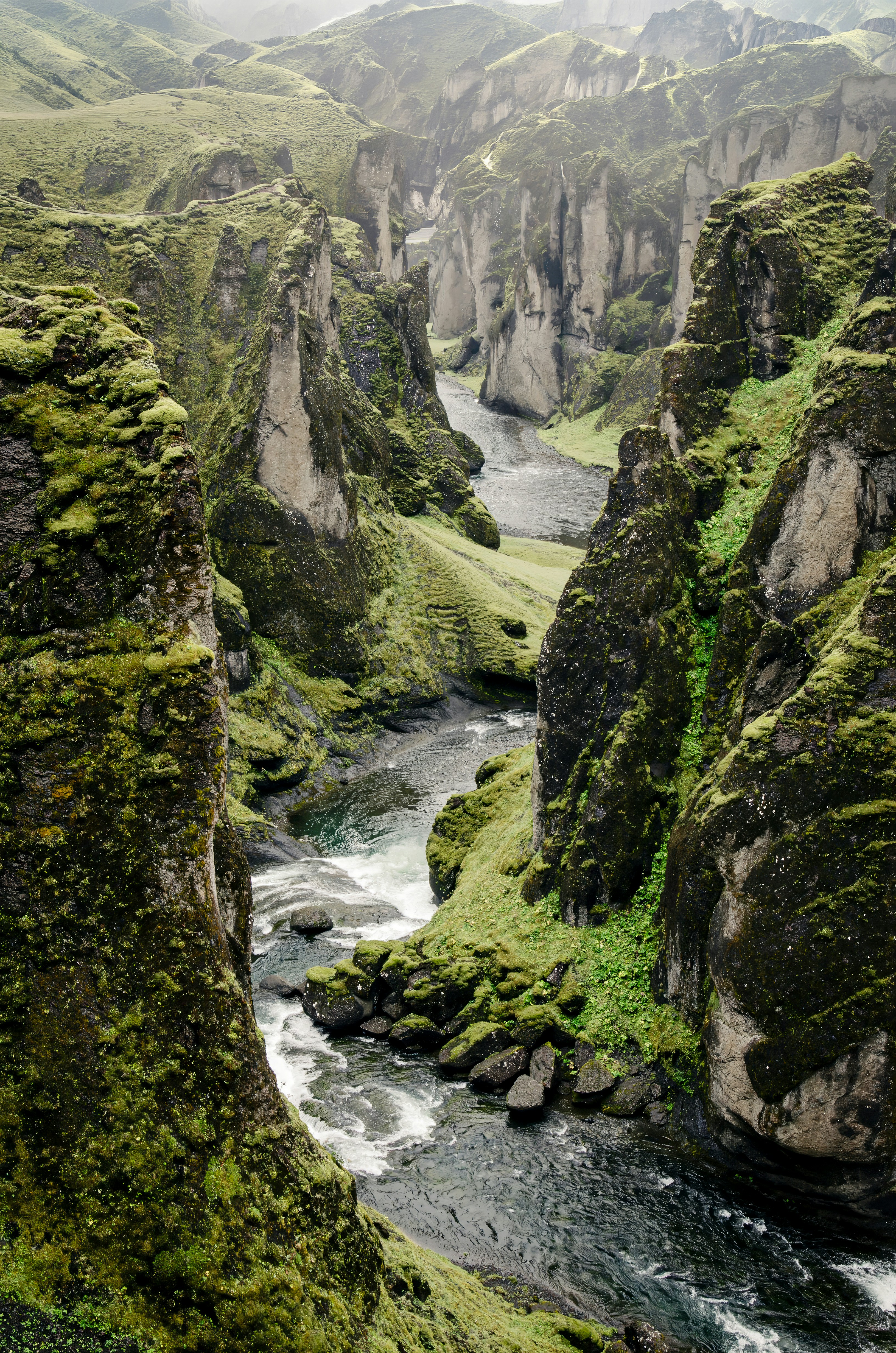 Verdant Fjords: A River Winding Through Moss-Covered Gorges