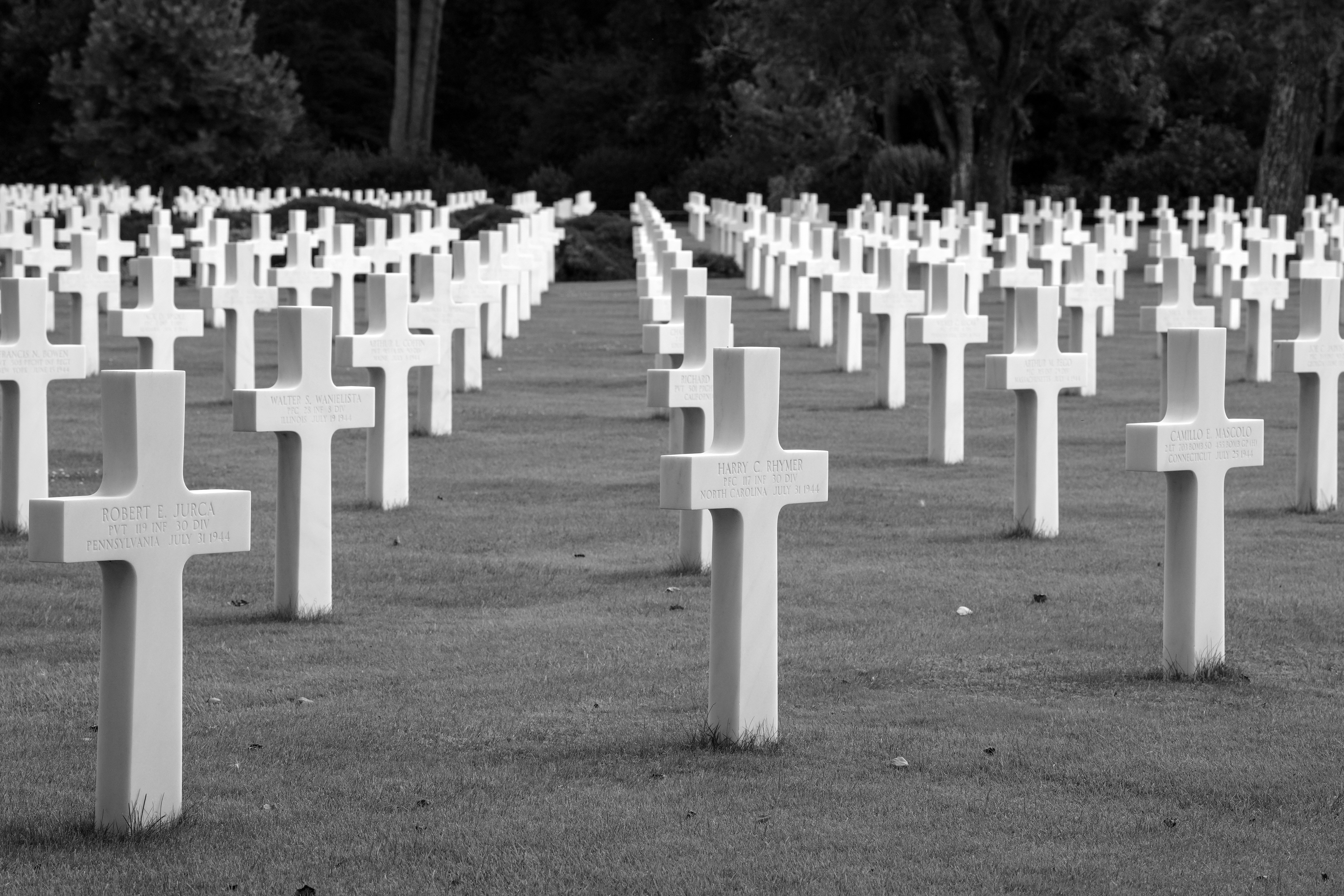 Rows of Silent Markers: A Vast Cemetery Under Soft Light