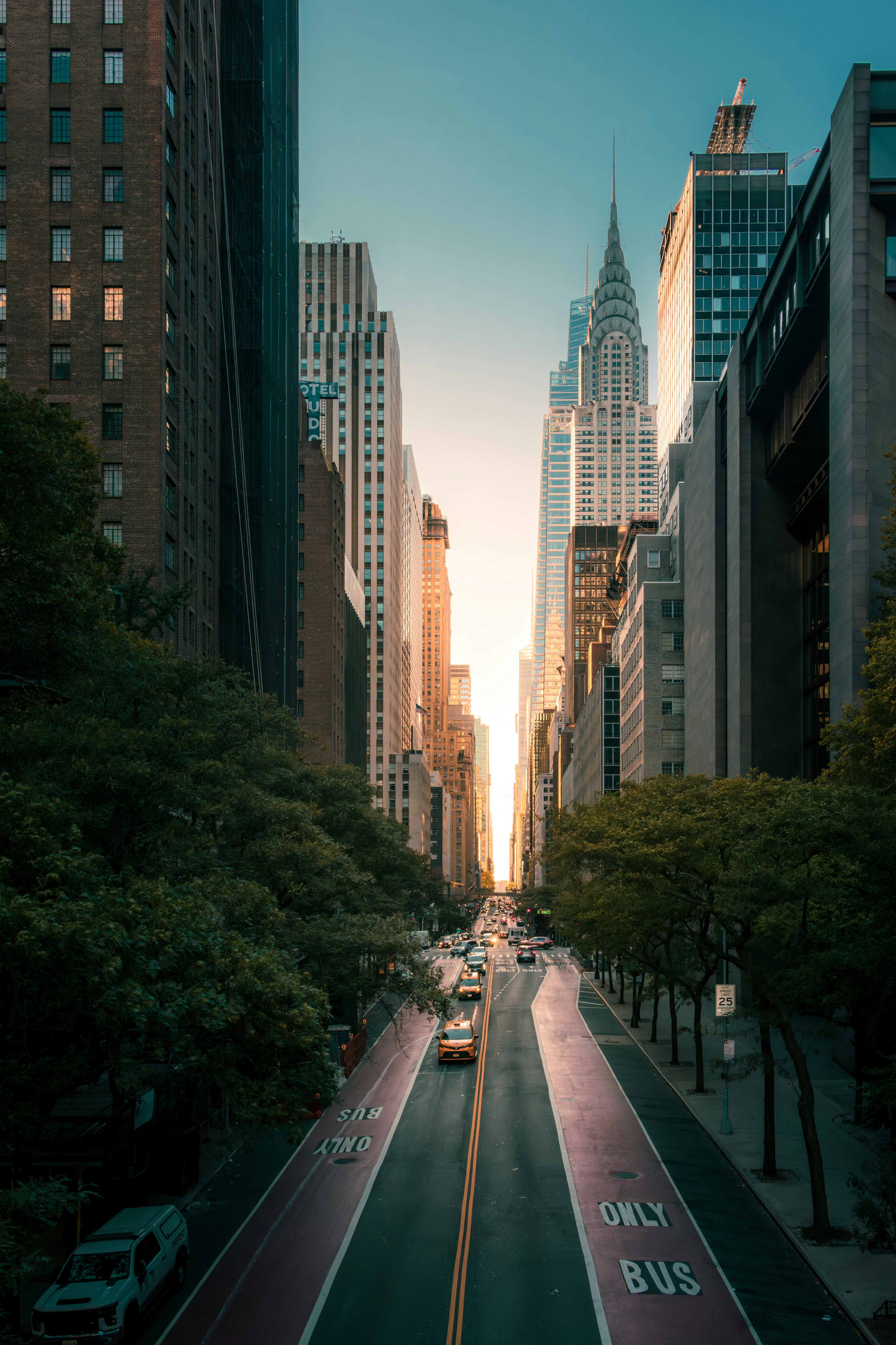 Sunlit Canyon: A City Street Reaches for the Sky
