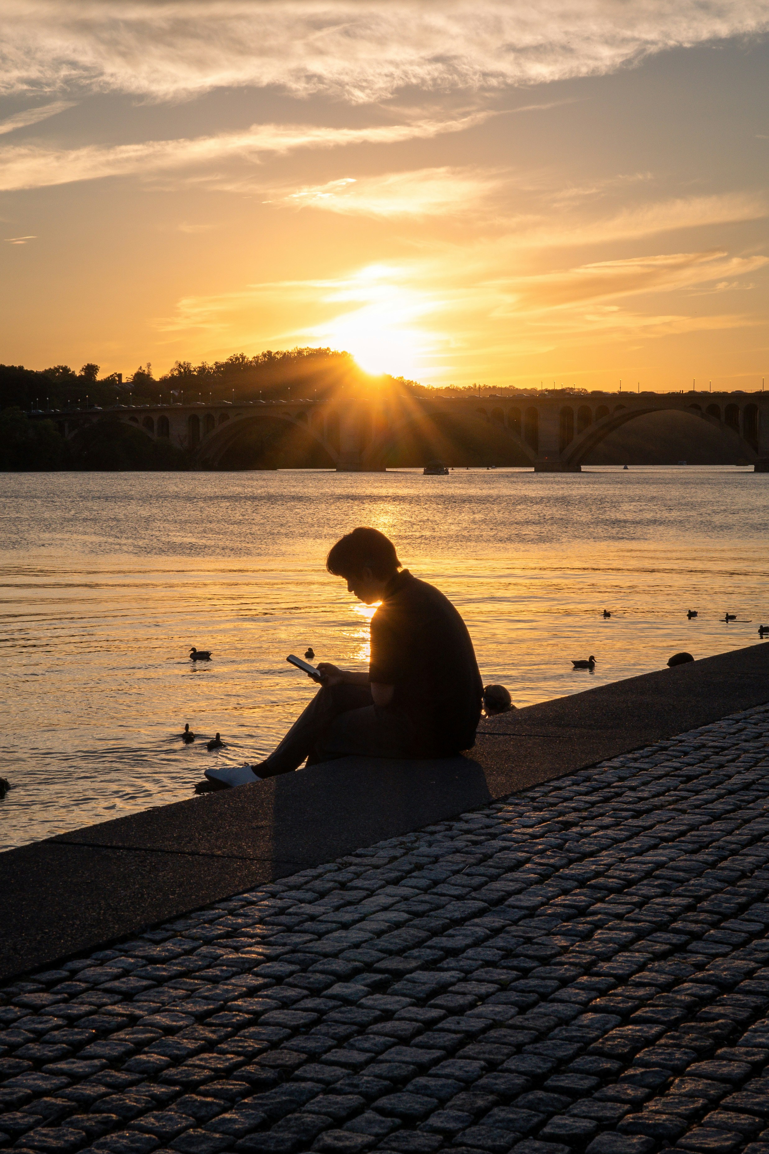Sunlit Seated Reader by the Riverside at Dusk