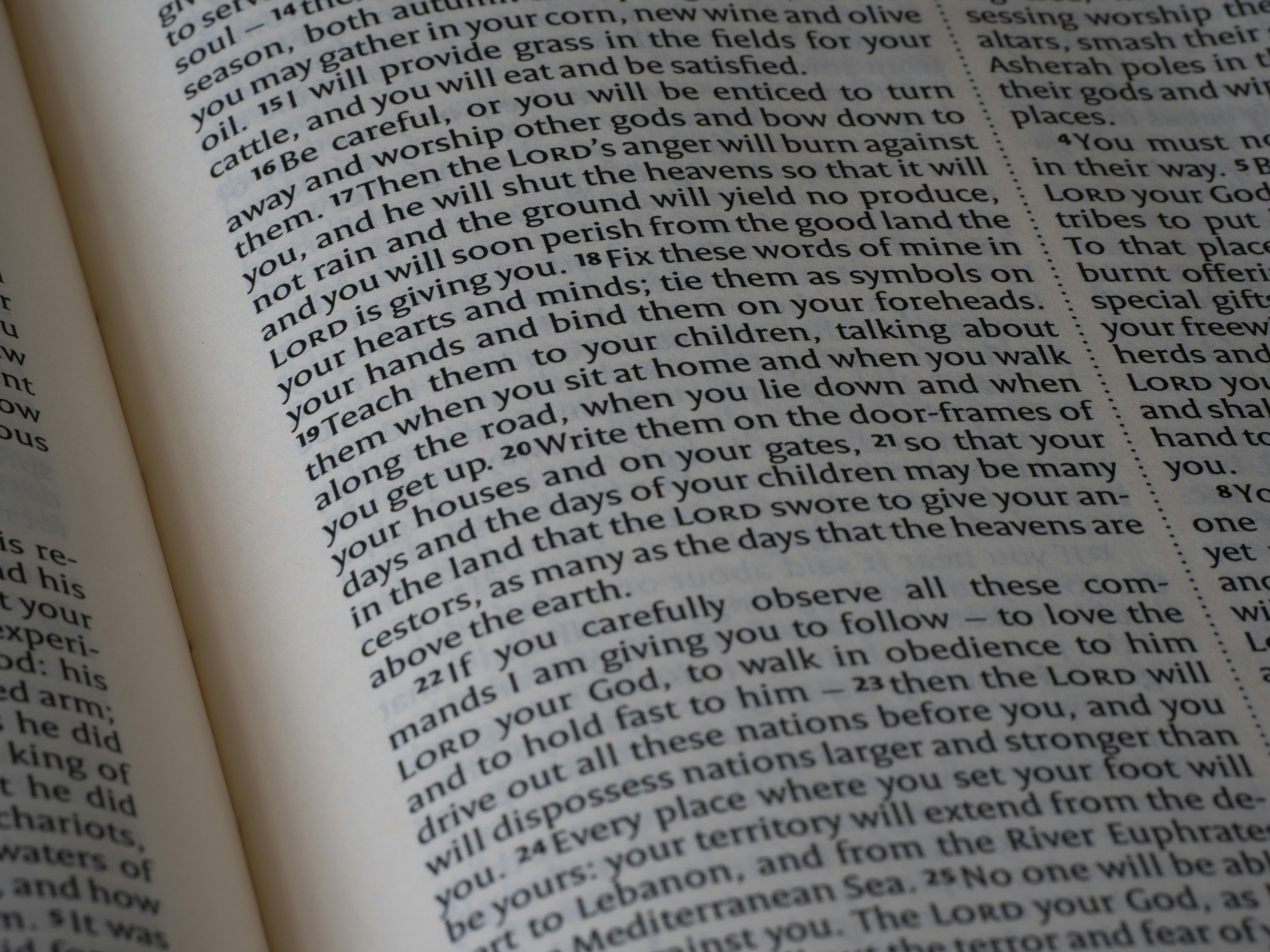 Ink and Echoes: A Quiet Page Reveals Its Whispered Tale