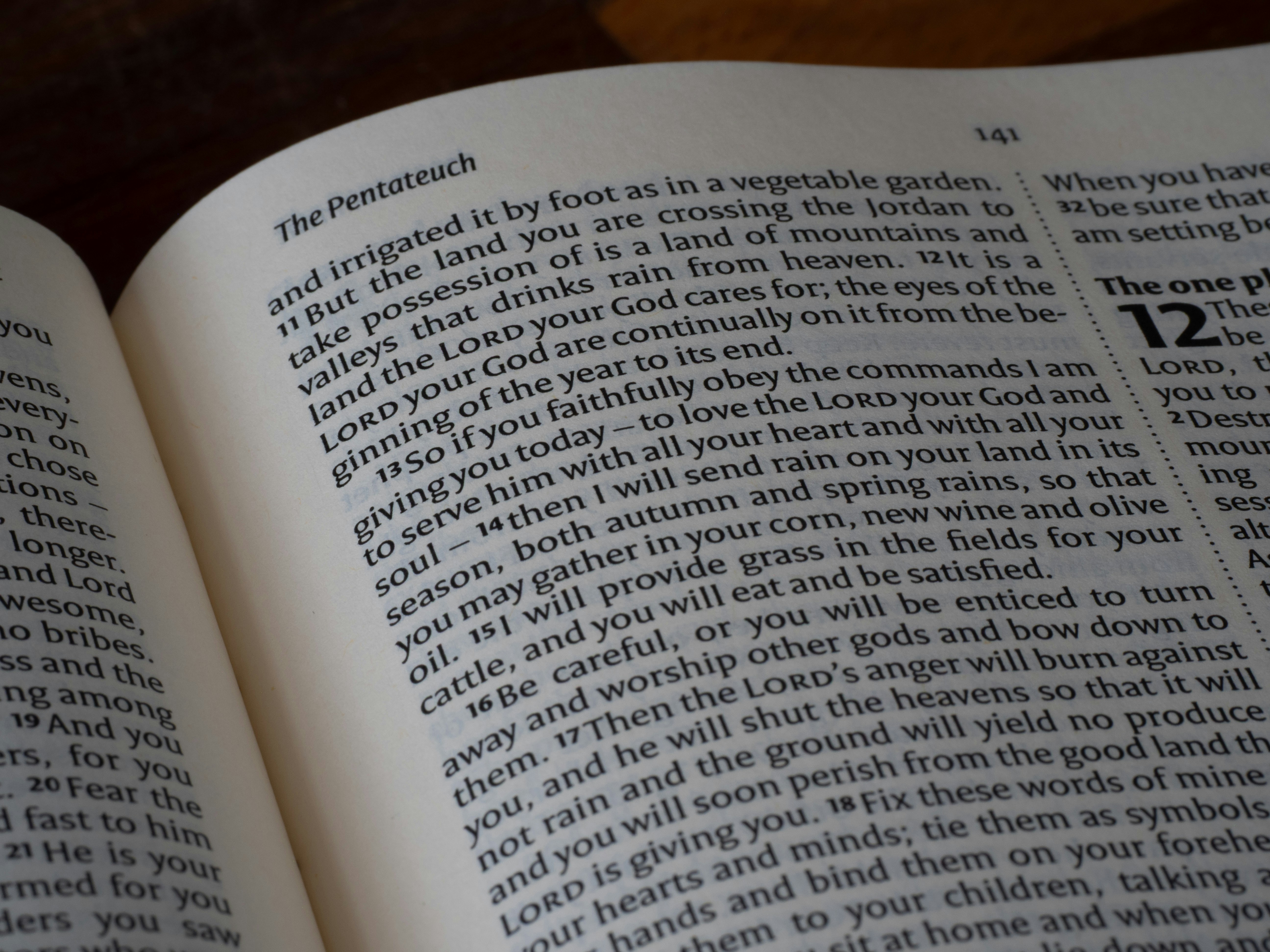 The Page Breathes: Close-Pressed Wisdom in a Quiet Library Corner